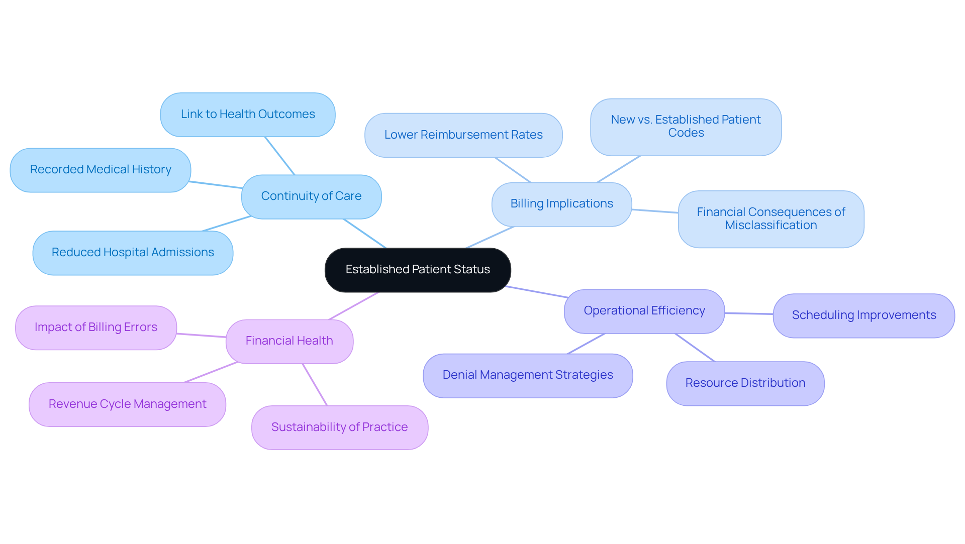 The central node represents the main topic, while the branches show related aspects. Each color-coded branch helps you see how different factors connect to the concept of established patient status.