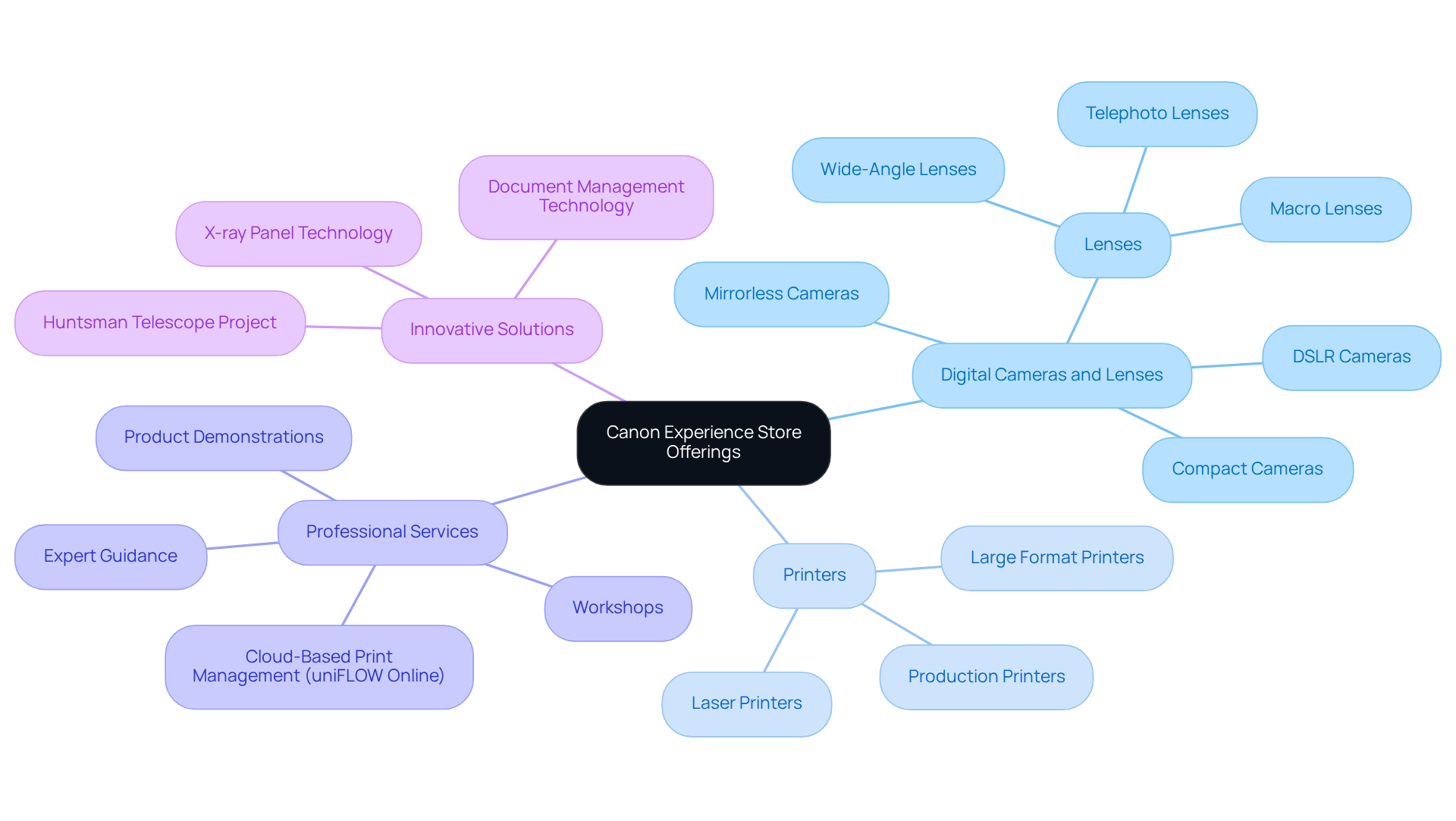 The center represents the Canon Experience Store, and each branch shows a different category of offerings. Follow the branches to discover specific products and services available in each area.