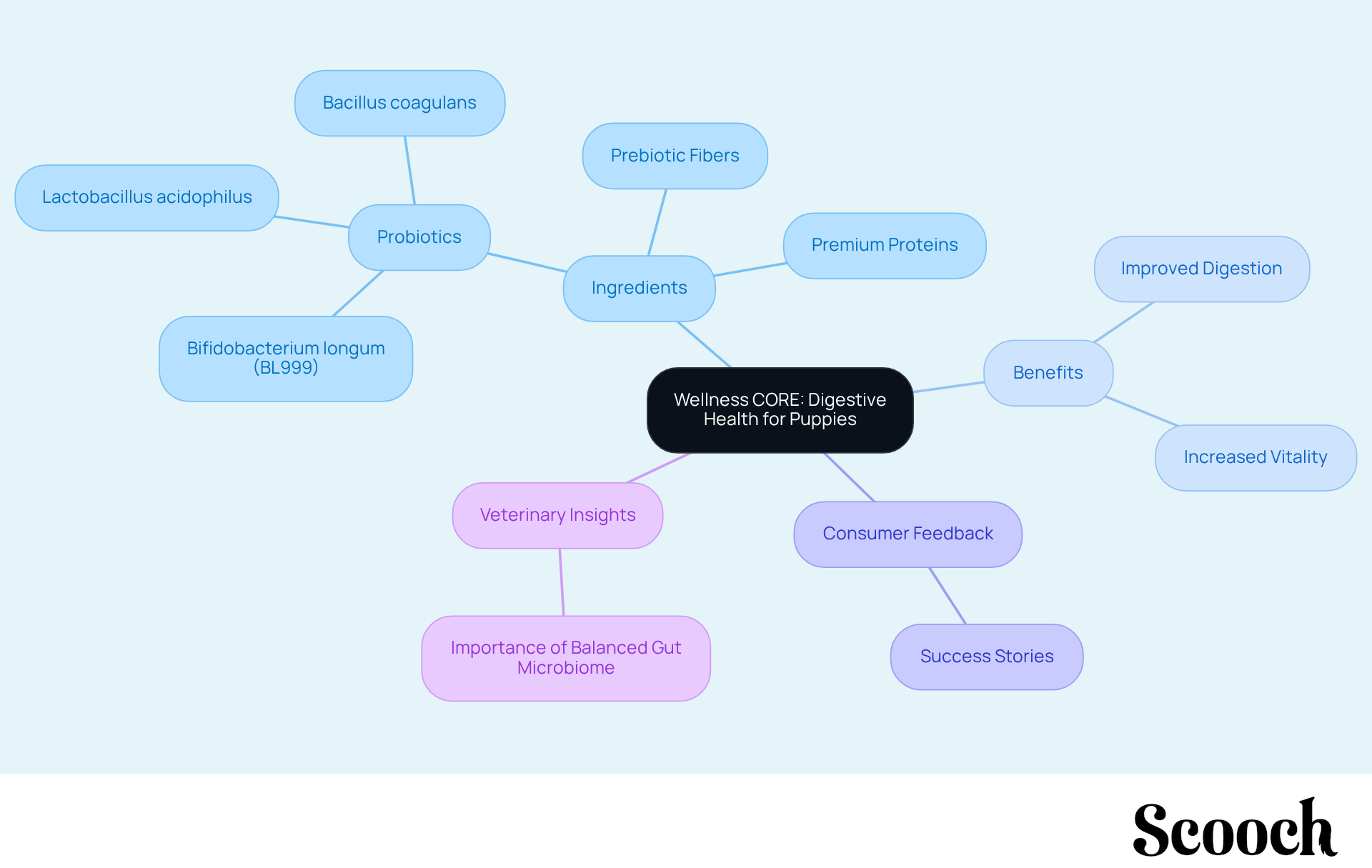 This mindmap starts with the main topic in the center and branches out to show related ideas. Each branch represents a different aspect of Wellness CORE's digestive health benefits for puppies, making it easy to see how everything connects. This mindmap starts with the main topic in the center and branches out to show related ideas. Each branch represents a different aspect of Wellness CORE's digestive health benefits for puppies, making it easy to see how everything connects.