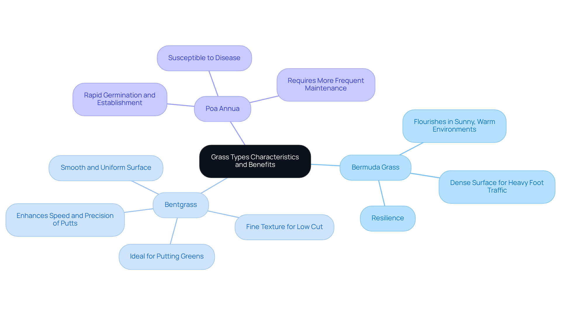 The central node represents the overall topic, while each branch shows a specific grass type. Under each type, you'll find details about its unique features and advantages, helping you understand which grass might be best for your needs.
