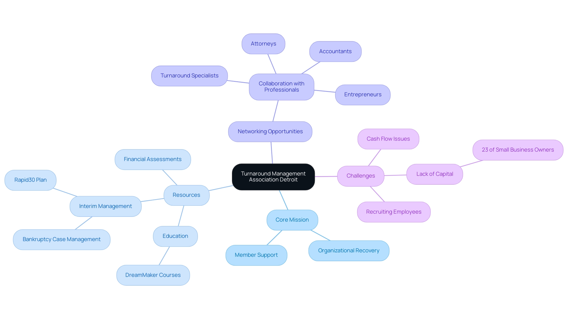 The central node represents the TMA organization, with branches showing its core mission, resources, networking opportunities, and the challenges faced by small enterprises.