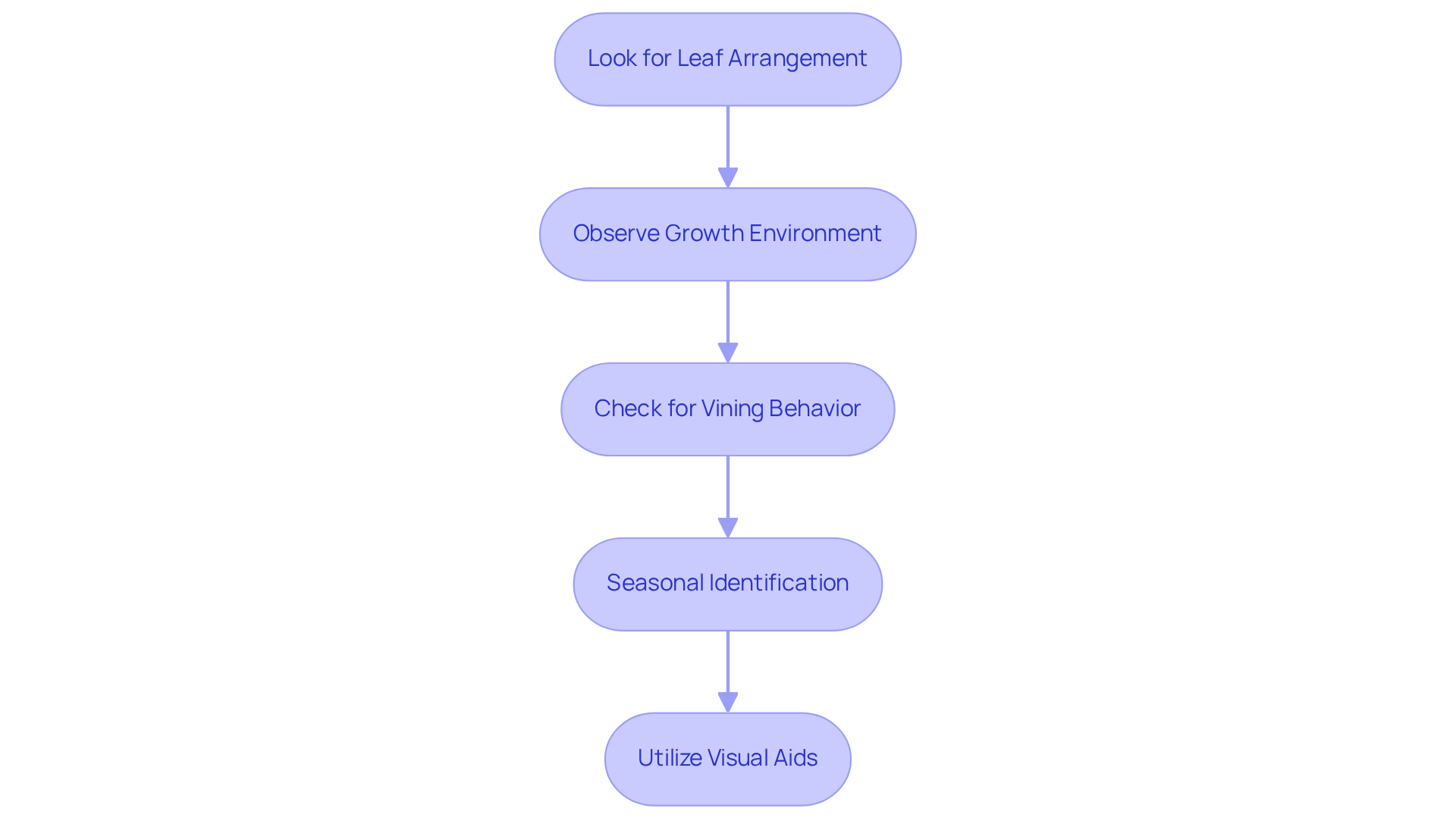 Each box represents a step in identifying poison ivy. Follow the arrows to see how to move from one step to the next, helping you confidently recognize this plant in your surroundings.