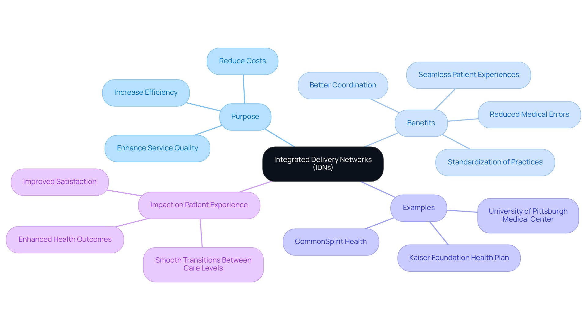 The central node represents IDNs, and the branches show its purpose, benefits, examples, and how they enhance patient experiences. Each branch elaborates on a specific aspect, helping you grasp the overall significance of IDNs in healthcare.