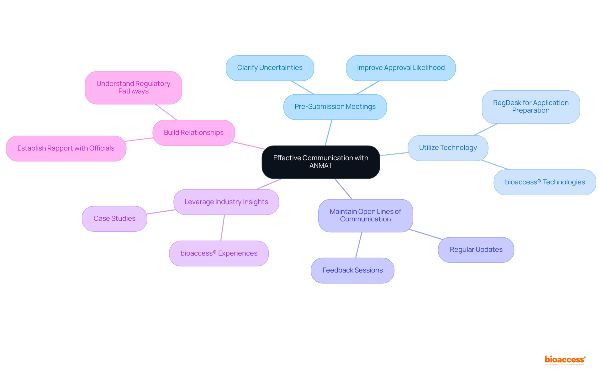 The center represents the main theme, with branches showing various strategies. Each branch's sub-points provide additional details or examples, helping you understand how to approach communication with regulatory bodies effectively.