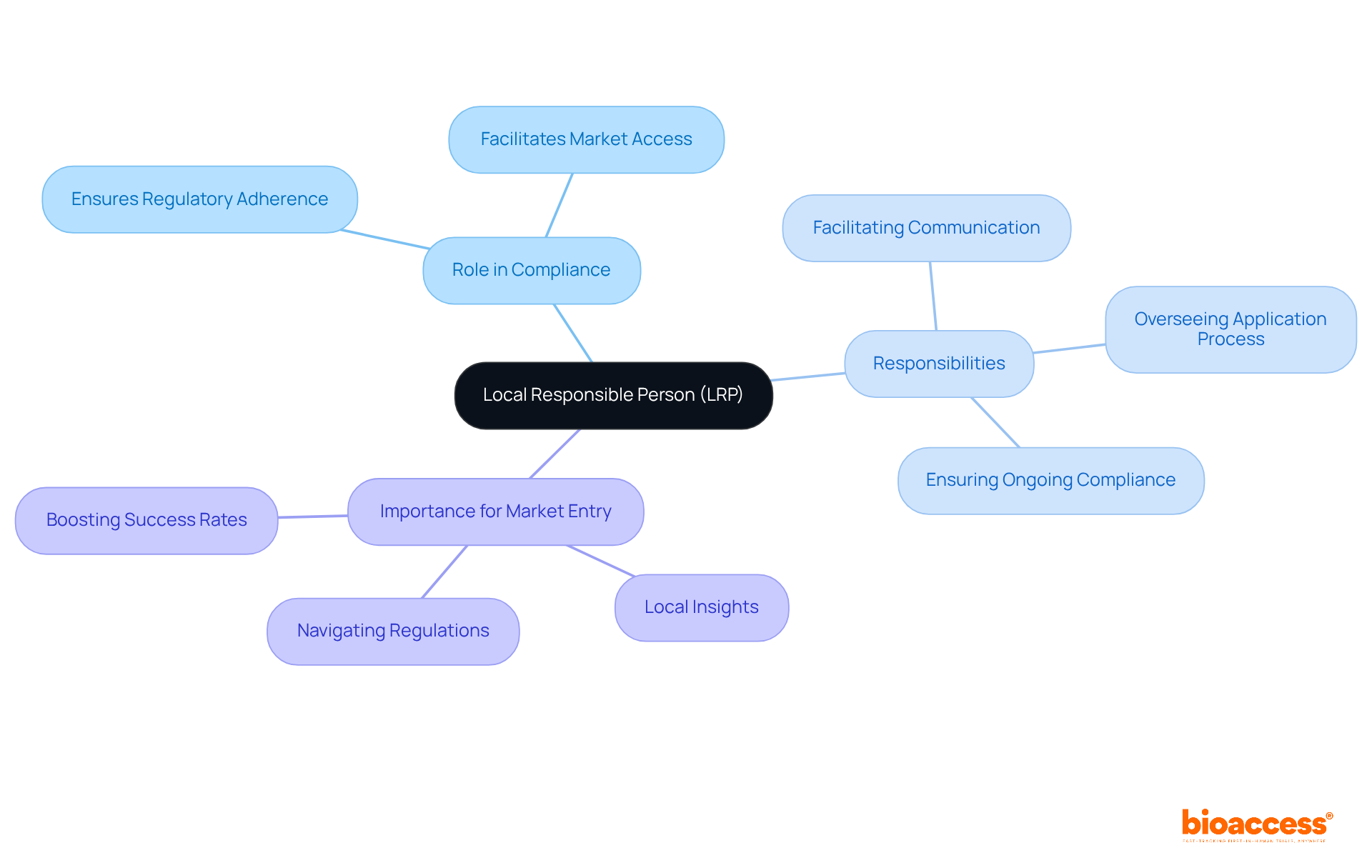 The center represents the LRP's main role, while the branches show their specific responsibilities and why they are crucial for compliance and market entry.
