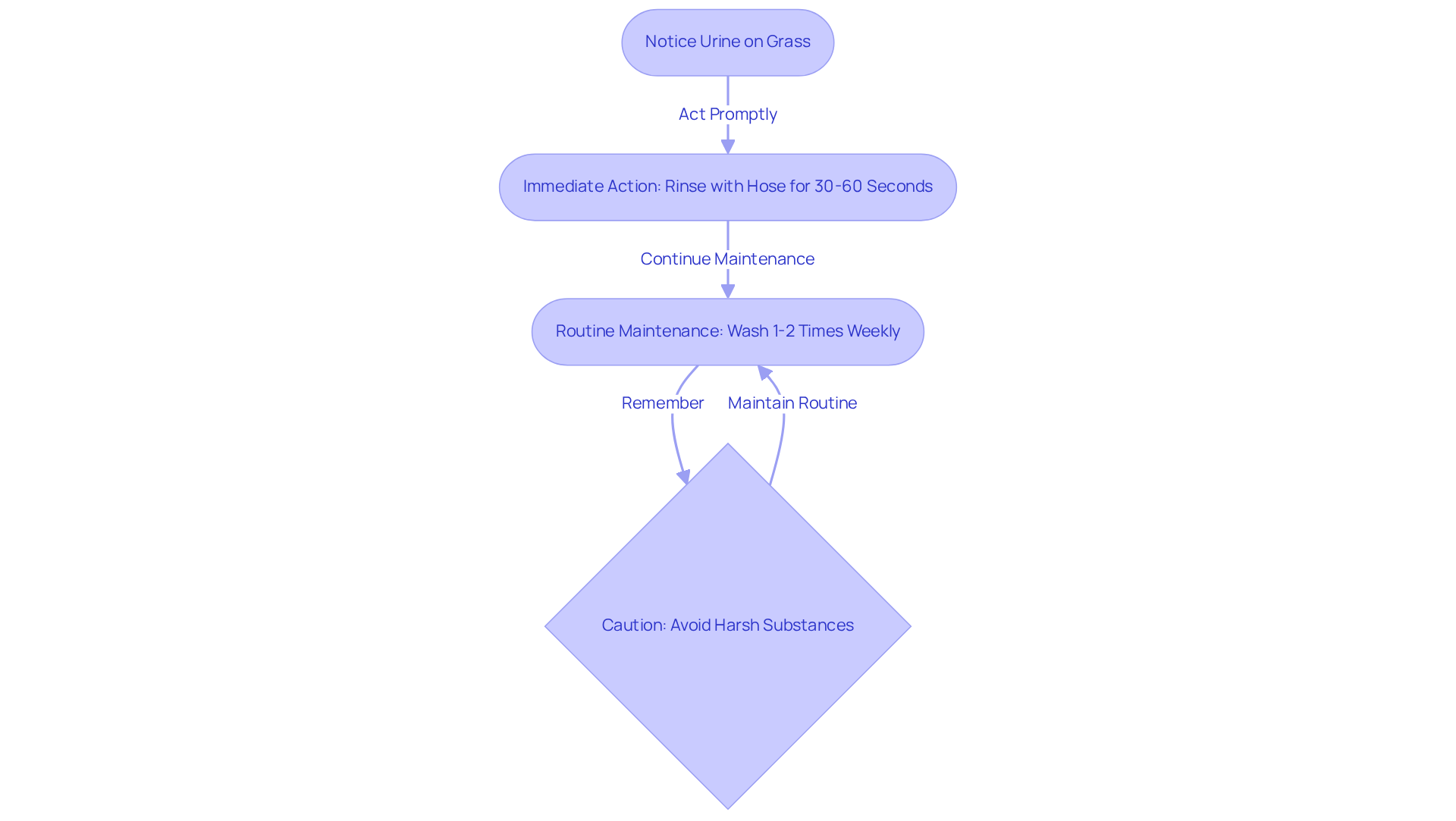 Follow the arrows to see what to do when your pet urinates on the grass. Start with rinsing, then maintain a routine, and remember to avoid harsh chemicals!