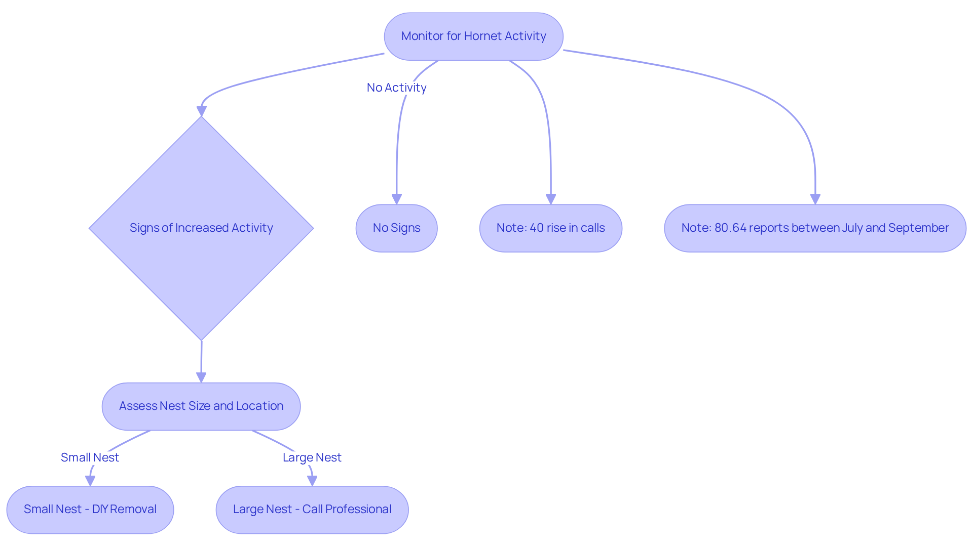 Follow the arrows to see what to do if you notice hornet activity. Each step guides you through assessing the situation and deciding whether to handle it yourself or call for help. Follow the arrows to see what to do if you notice hornet activity. Each step guides you through assessing the situation and deciding whether to handle it yourself or call for help.