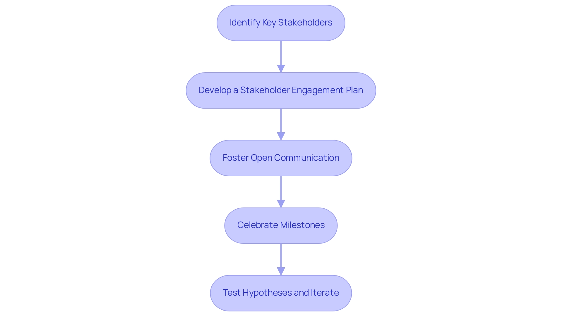 Each box represents a step in the stakeholder engagement process, with arrows indicating the sequential flow from one step to the next.