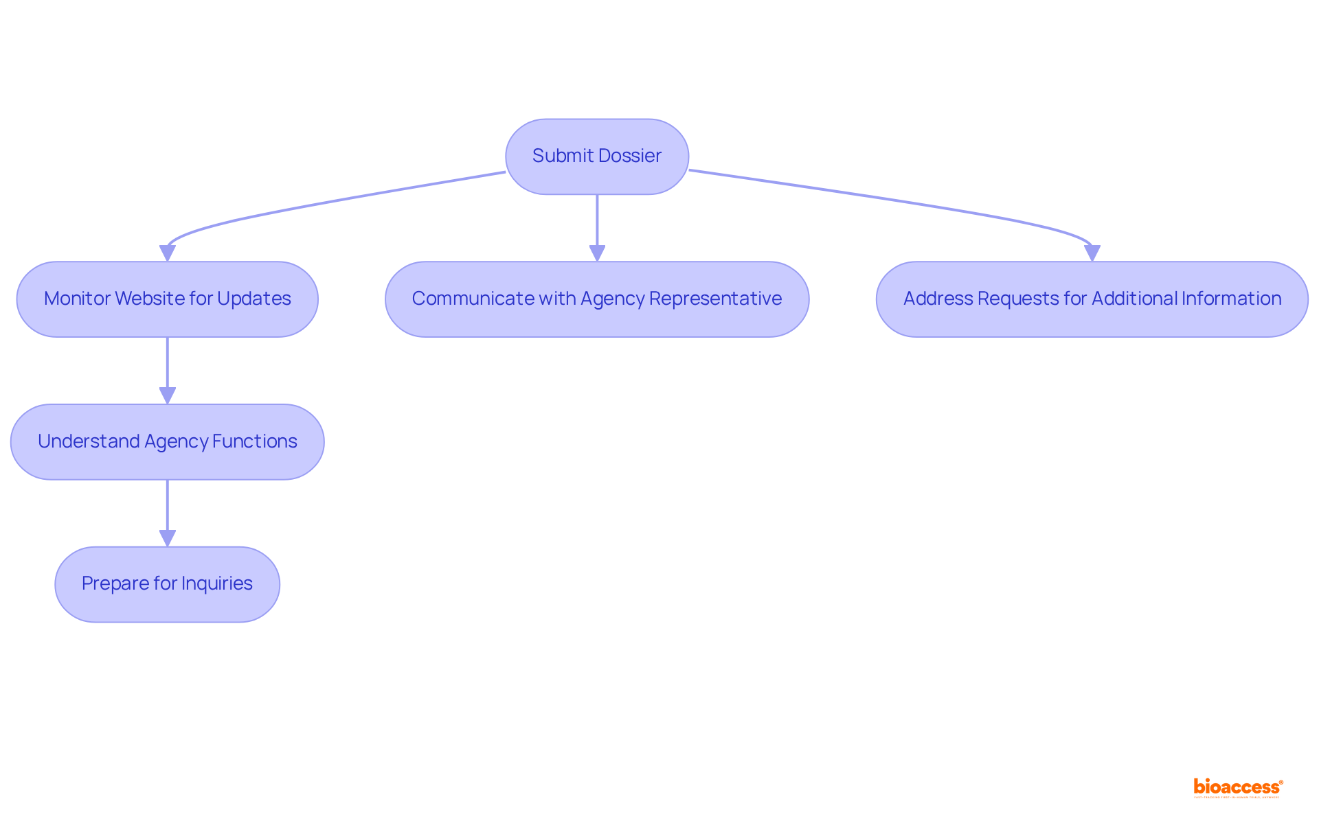 This flowchart outlines the key steps you should take after submitting your dossier. Each box represents an action, and the arrows show you the order in which to complete them for effective monitoring.