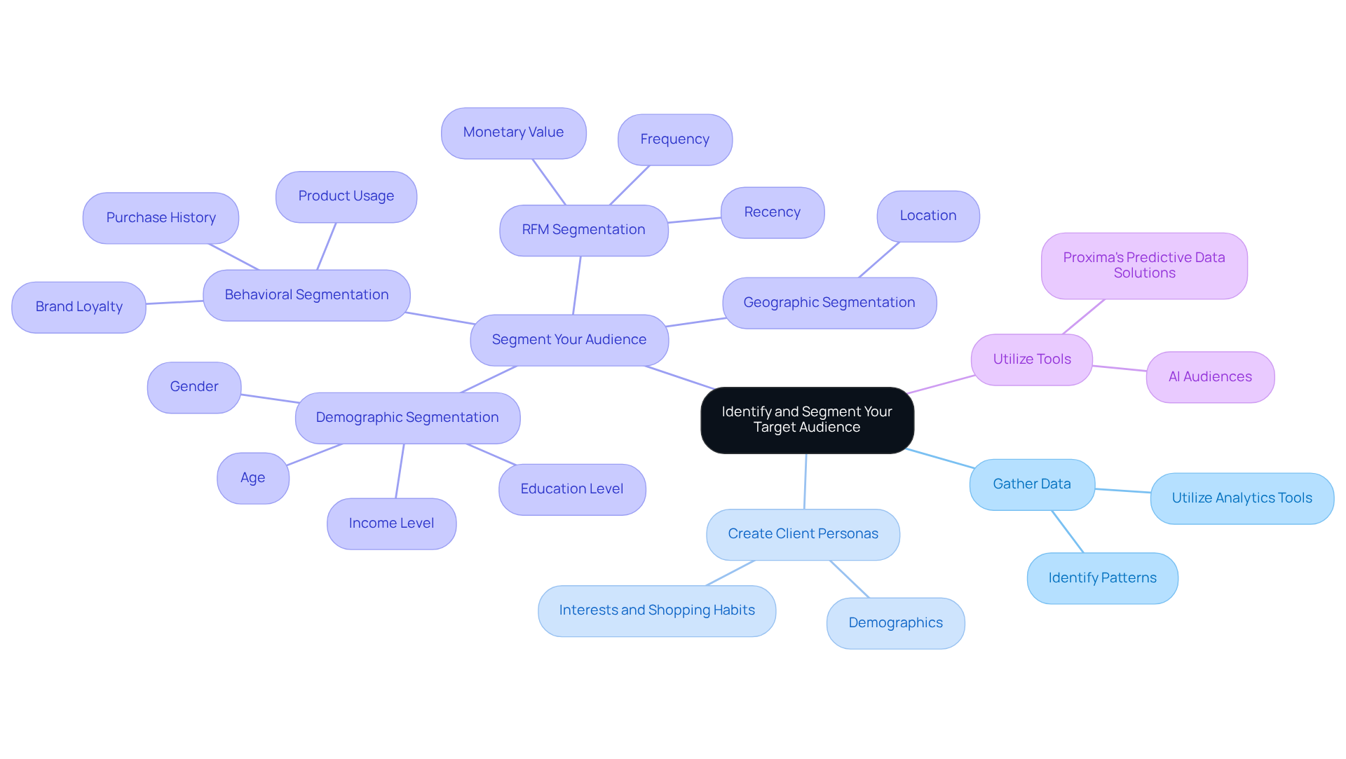 The central node represents the overall goal of audience segmentation, while the branches show the steps and criteria involved. Each color-coded section helps you quickly identify different aspects of the strategy.