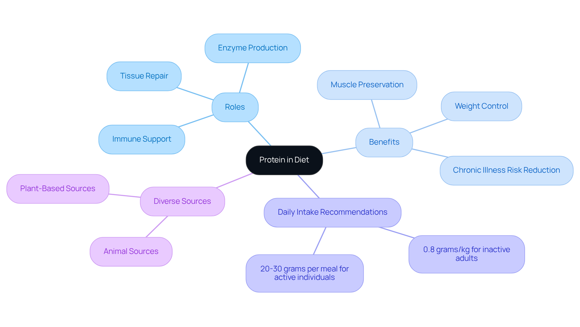 The central node represents protein, while branches show its roles, benefits, intake suggestions, and sources. This helps visualize how protein contributes to our health in a structured manner.