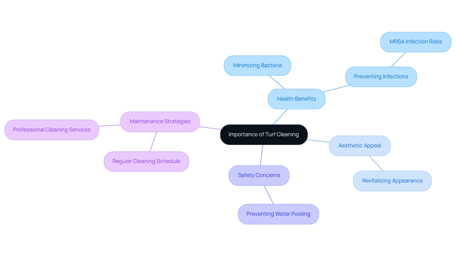 Start at the center with the main idea of turf cleaning, then explore the branches to see how it impacts health, looks, safety, and maintenance. Each branch highlights a different benefit or strategy related to keeping your lawn in top shape.