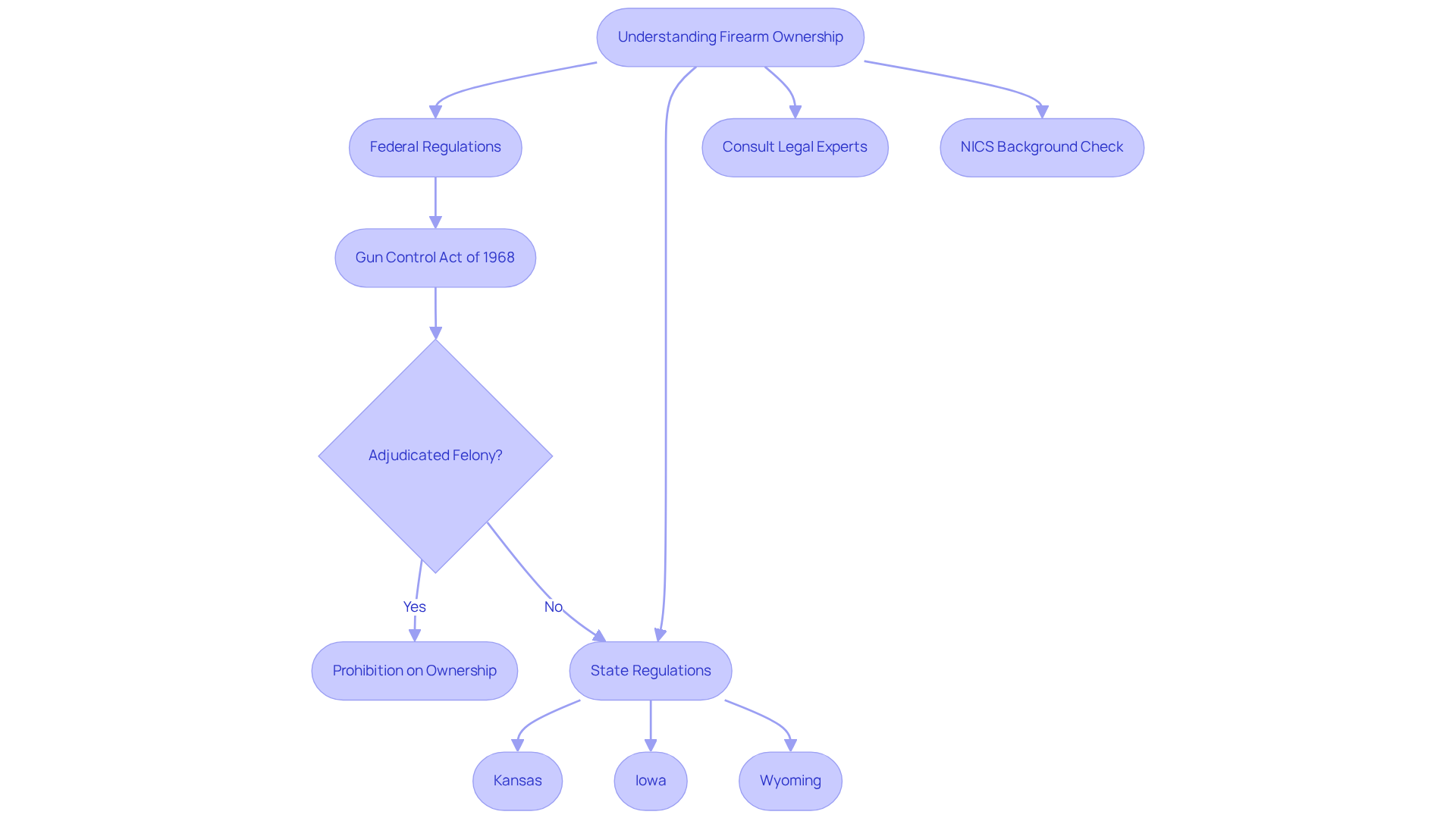 This flowchart helps you understand the steps and decisions involved in firearm ownership laws. Start at the top and follow the paths based on federal and state regulations. Each box represents a key point or decision, guiding you through the complexities of the law. This flowchart helps you understand the steps and decisions involved in firearm ownership laws. Start at the top and follow the paths based on federal and state regulations. Each box represents a key point or decision, guiding you through the complexities of the law.