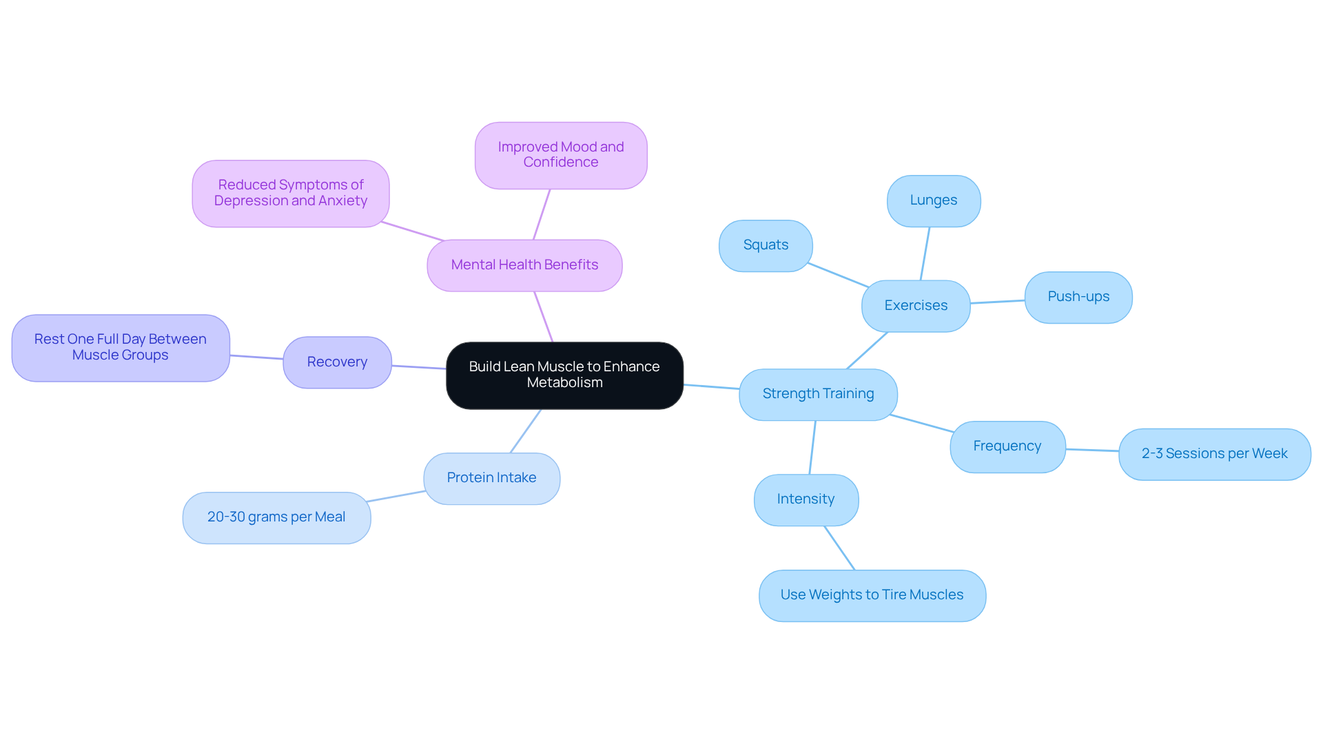 The center represents the main goal of building lean muscle. Each branch shows important aspects of this journey, from exercises to nutrition and recovery. Follow the branches to understand how each part contributes to your overall fitness and health. The center represents the main goal of building lean muscle. Each branch shows important aspects of this journey, from exercises to nutrition and recovery. Follow the branches to understand how each part contributes to your overall fitness and health.