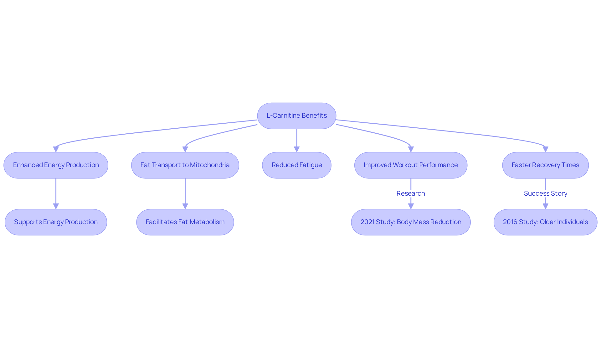 This flowchart illustrates how L-Carnitine supports energy production and fat metabolism. Start at the top with the main benefits, and follow the arrows to see how each benefit connects to improved performance and recovery during workouts.