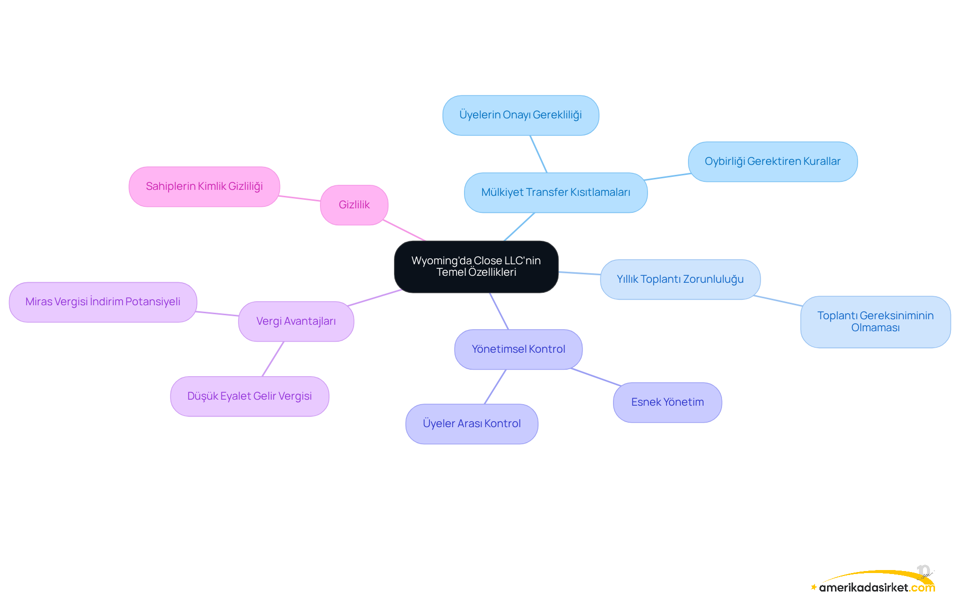 Merkezdeki başlık, Close LLC'lerin genel özelliklerini temsil eder. Dallar, bu özelliklerin detaylarını ve avantajlarını gösterir. Her dalın altında, ilgili bilgilerle okuyucuların konuyu daha iyi anlaması sağlanır.