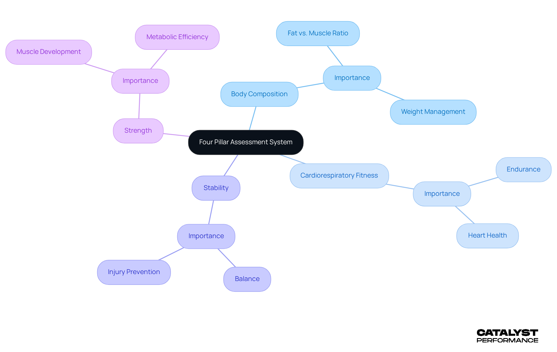 The central node represents the assessment system, while the branches show the four key areas of focus. Each area is crucial for understanding your fitness journey and tailoring your training.