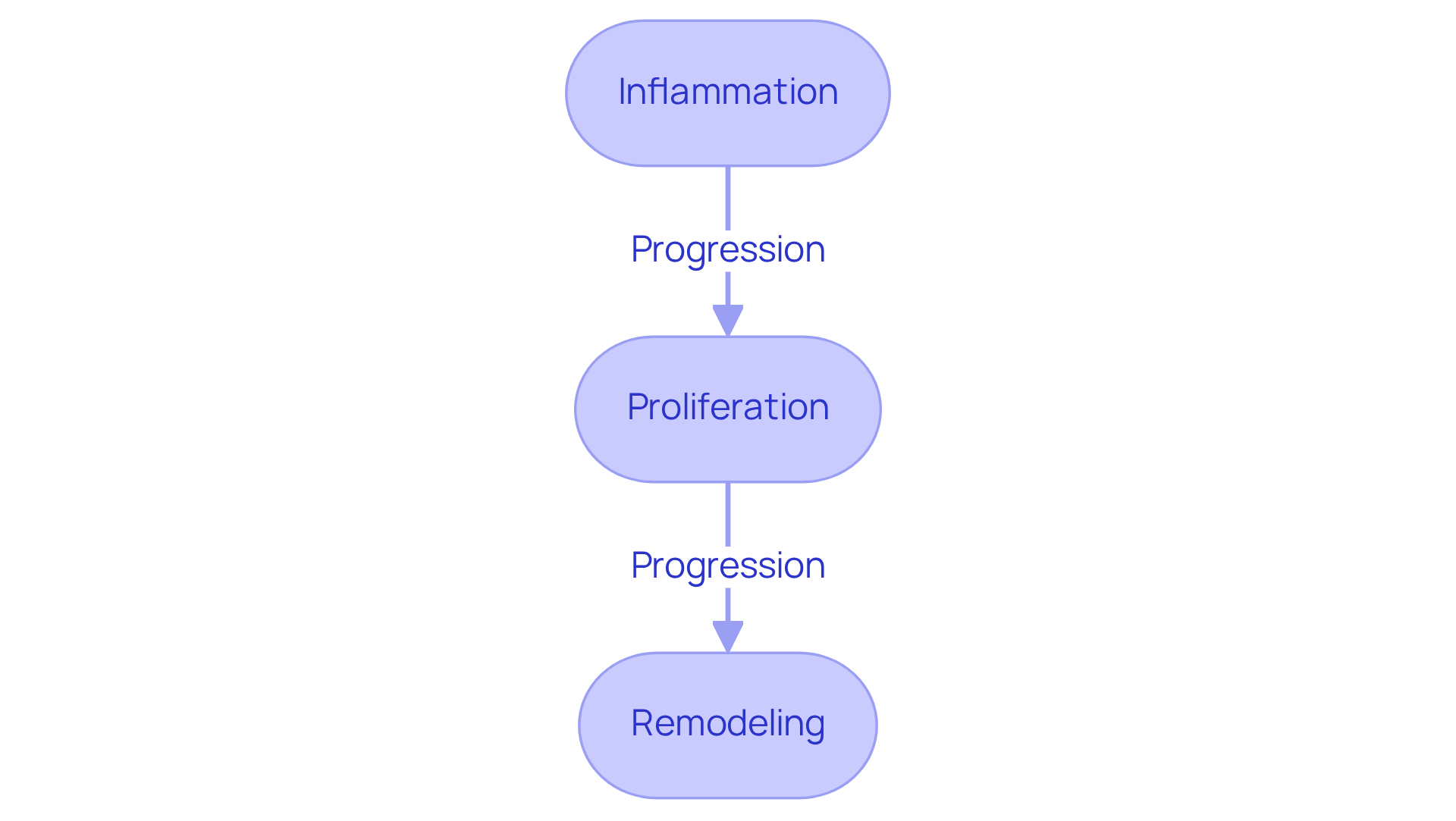 This flowchart outlines the healing journey of tendons and ligaments. Each box represents a stage in the recovery process, with arrows showing how one stage leads to the next. The descriptions provide a quick overview of what happens during each phase.