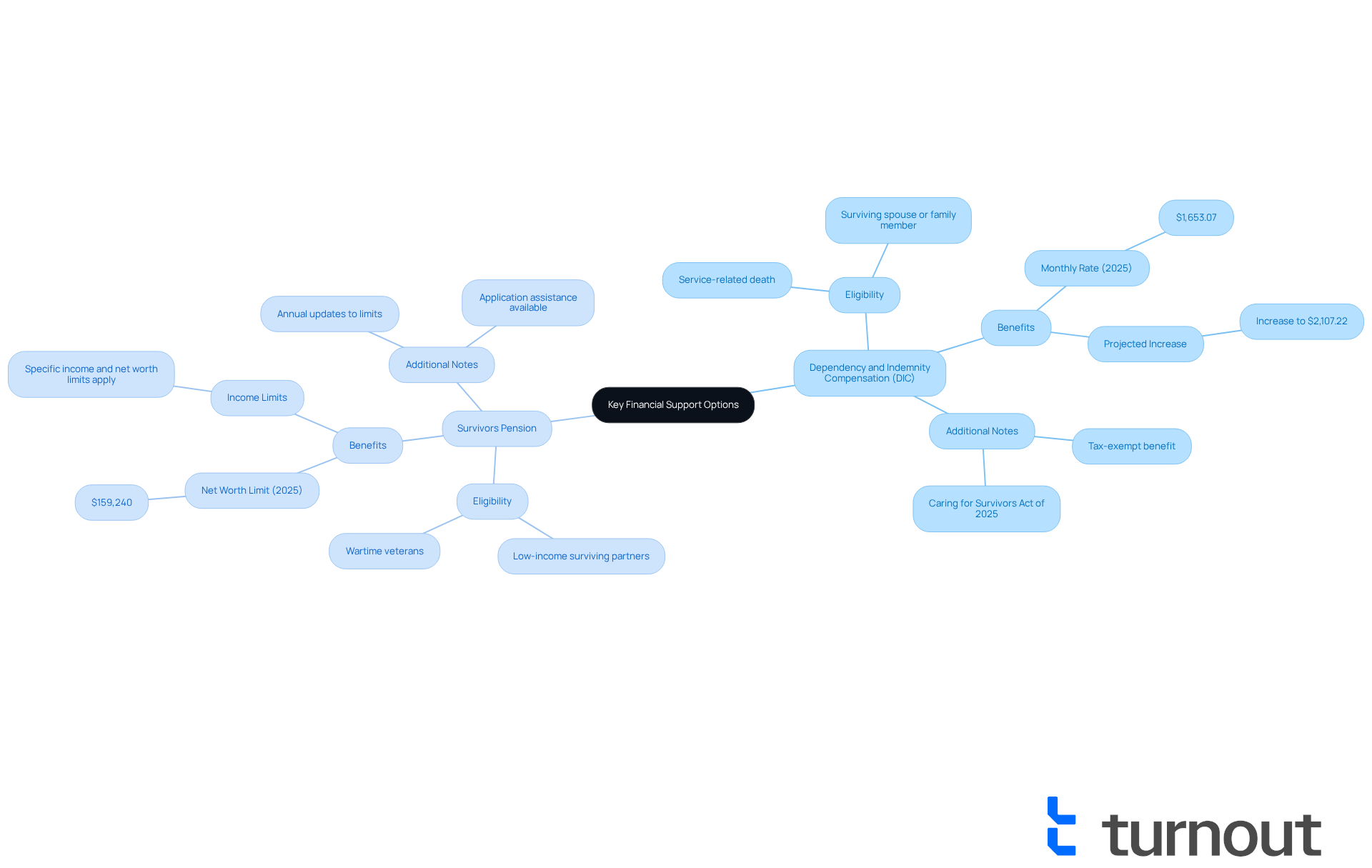 This mindmap starts with the main support options in the center. Each branch represents a different financial option, with details listed underneath to explain what benefits are available and who qualifies.