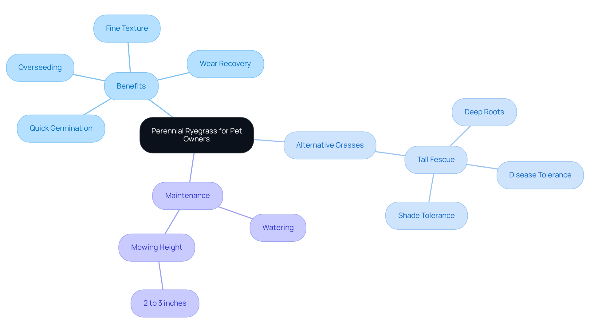 Start at the center with Perennial Ryegrass, then explore its benefits, alternatives, and maintenance tips. Each branch shows a different aspect of how this grass can work for pet owners. Start at the center with Perennial Ryegrass, then explore its benefits, alternatives, and maintenance tips. Each branch shows a different aspect of how this grass can work for pet owners.