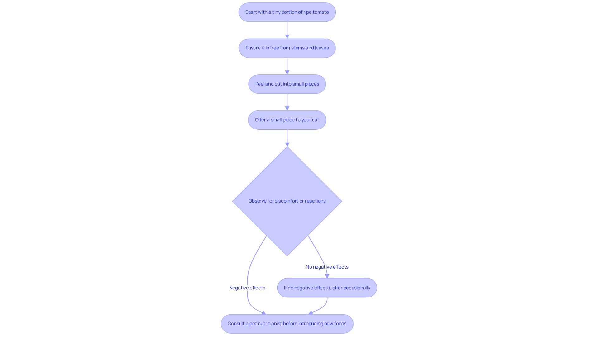 This flowchart guides you through the process of adding tomatoes to your cat's diet, reminding you to take careful steps and prioritize your cat's health at every turn.