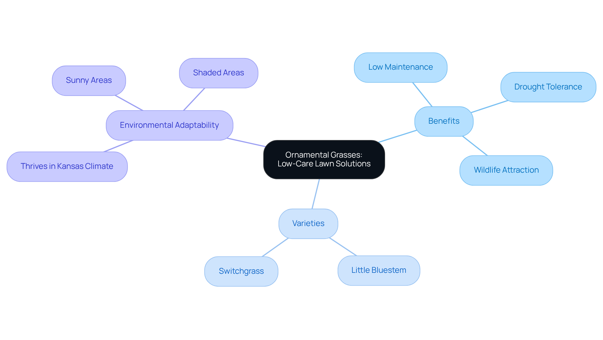 This mindmap shows how ornamental grasses can be a great low-maintenance option for landscaping. The central idea is surrounded by branches that explain the benefits, specific varieties, and how well they adapt to different environments. Each branch helps you see the connections and understand why these plants are a smart choice for your garden.