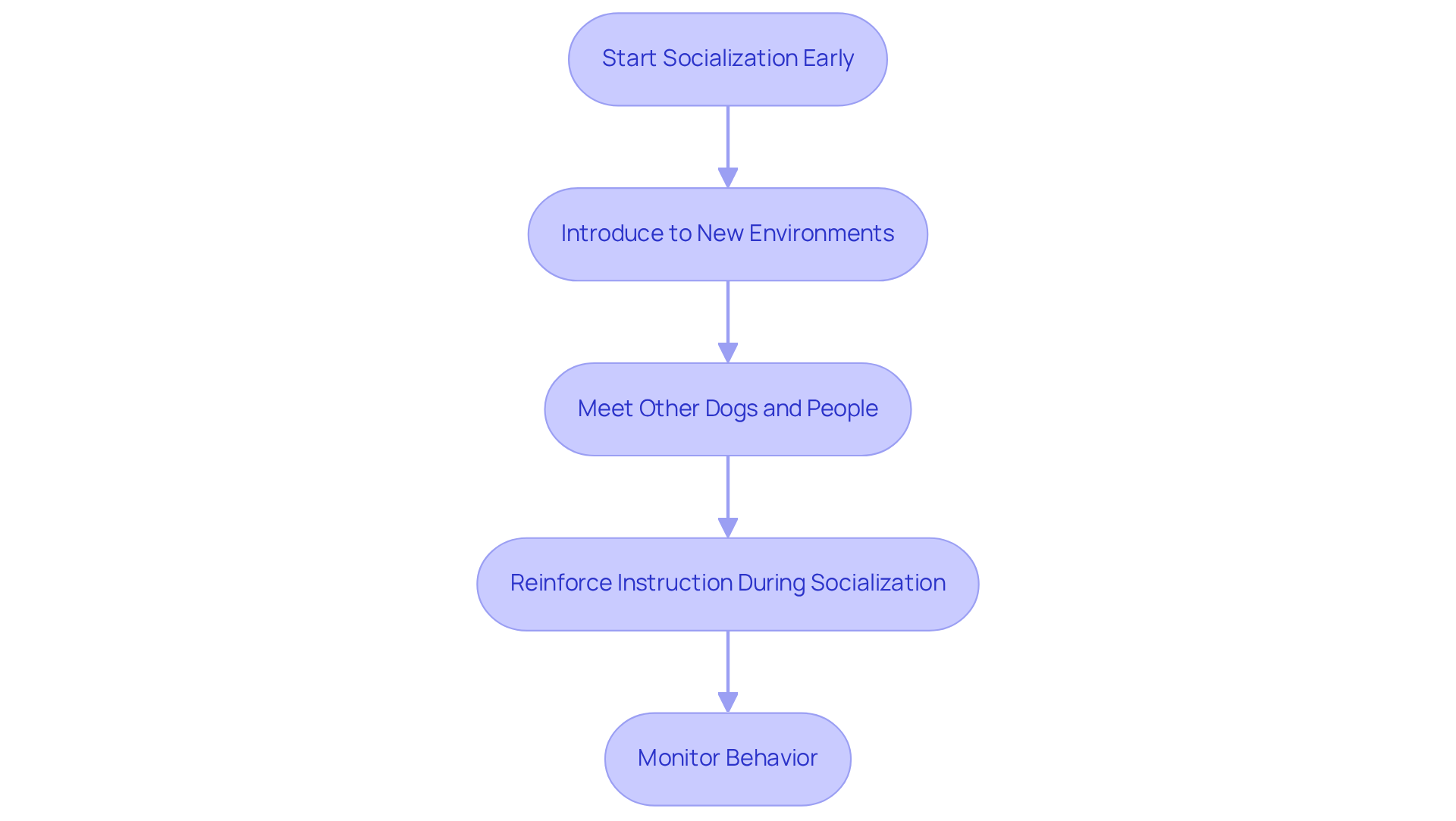 Each box represents a step in socializing your puppy. Follow the arrows to understand how each step builds on the previous one, leading to a well-adjusted and confident dog. Each box represents a step in socializing your puppy. Follow the arrows to understand how each step builds on the previous one, leading to a well-adjusted and confident dog.