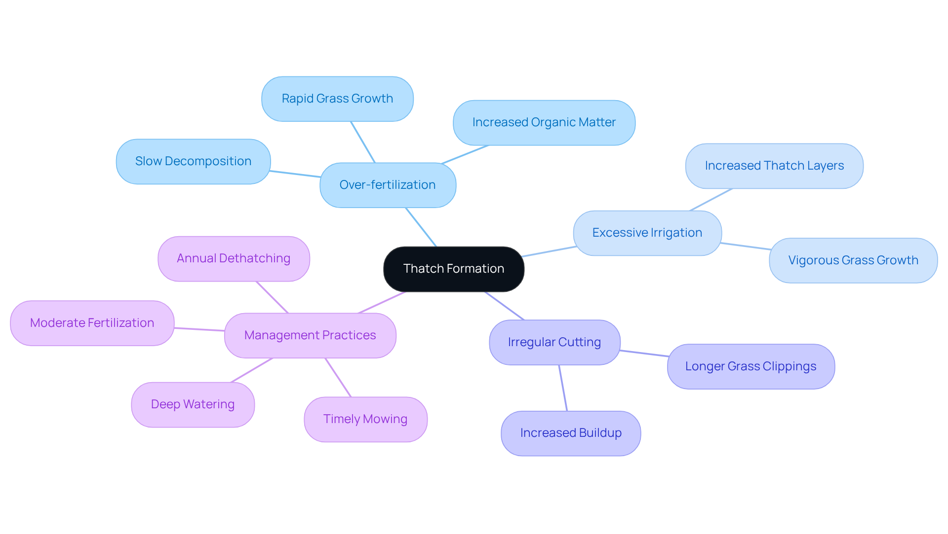 The central node represents thatch formation, while the branches show the key factors contributing to it and the recommended practices for managing it. Follow the branches to see how each factor affects thatch and what actions can help maintain a healthy lawn.