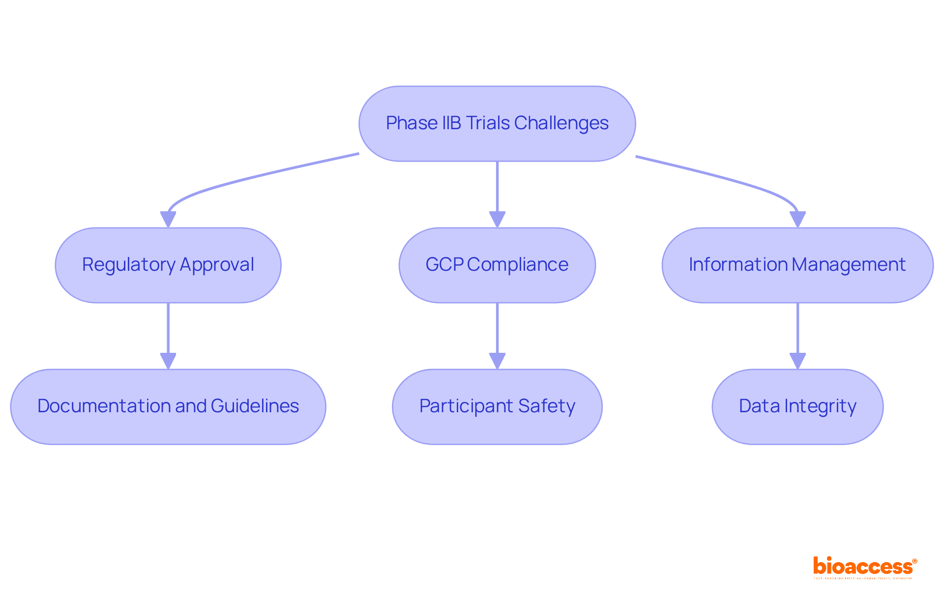 This flowchart outlines the key challenges in Phase IIB trials. Each box represents a challenge or a step in the process, and arrows show how these challenges are interconnected. Follow the arrows to see how to navigate through regulatory hurdles.