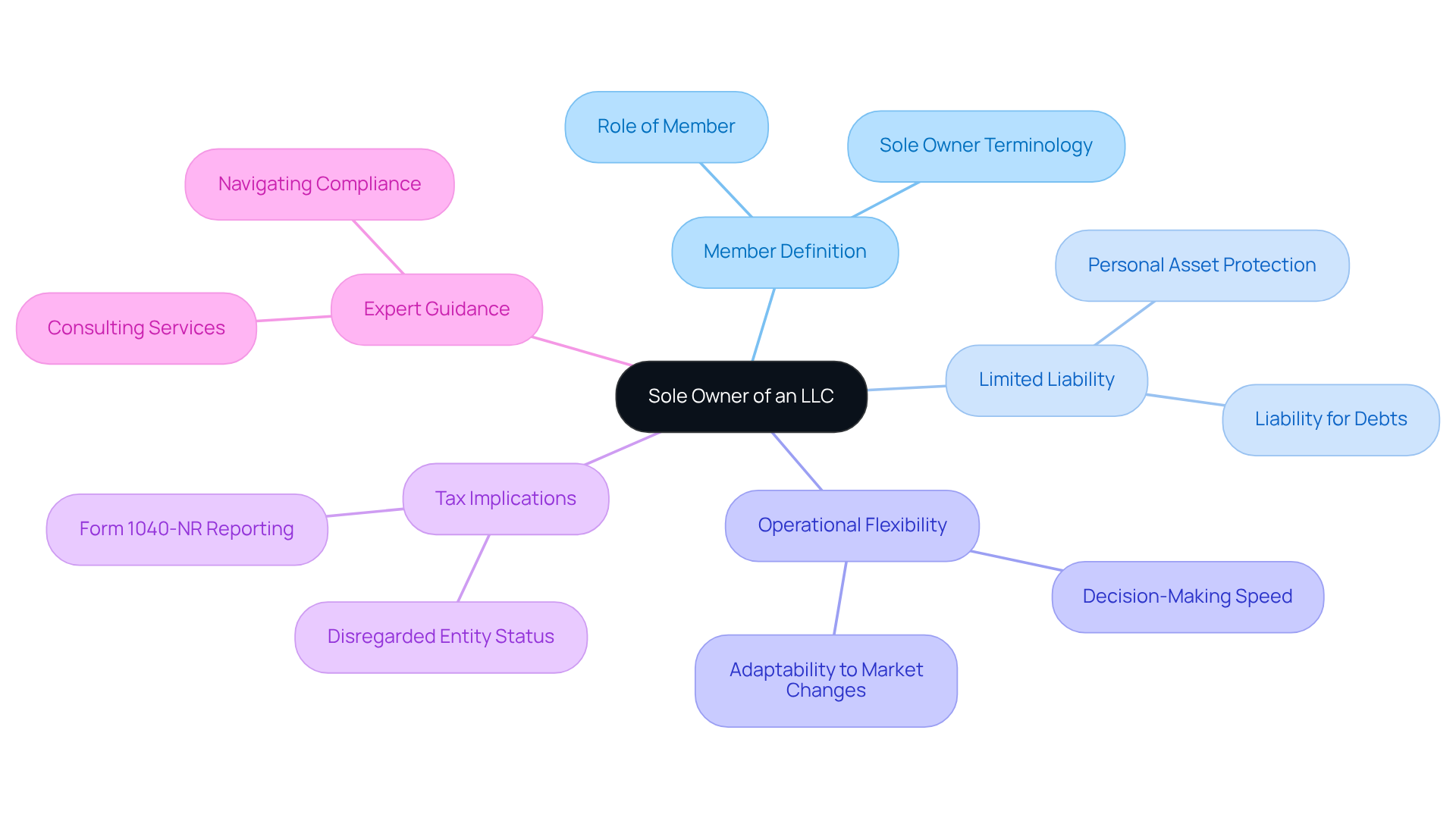 The central node represents the sole owner of an LLC, with branches showing important related topics. Each branch helps you explore different aspects of being a sole member, from legal protections to tax responsibilities. The central node represents the sole owner of an LLC, with branches showing important related topics. Each branch helps you explore different aspects of being a sole member, from legal protections to tax responsibilities.