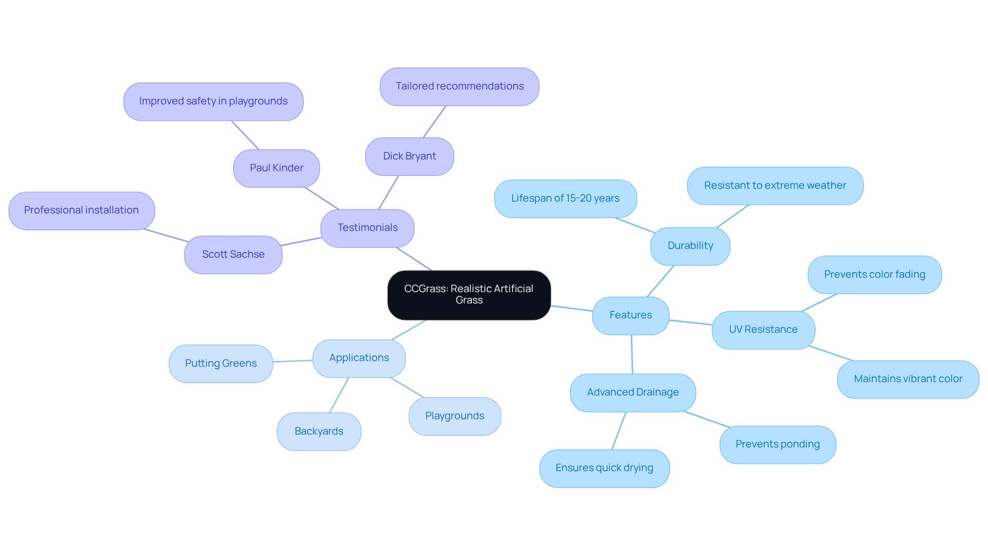 The central node represents the main product, while the branches show its features, applications, and what customers are saying. Each branch helps you understand different aspects of the product and how it benefits users.