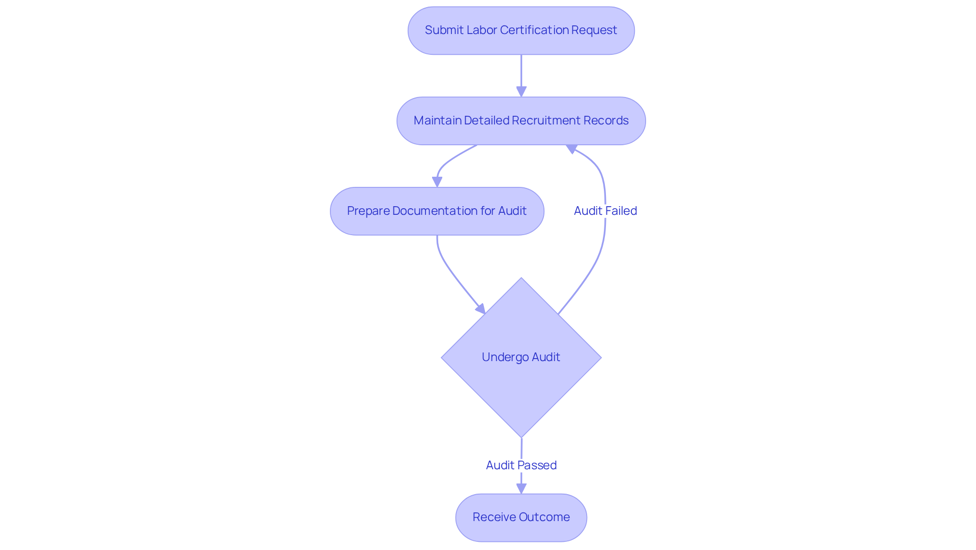 Each box represents a step in the audit process. Follow the arrows to see how to move from one step to the next, and be aware of the consequences of not following the outlined procedures.