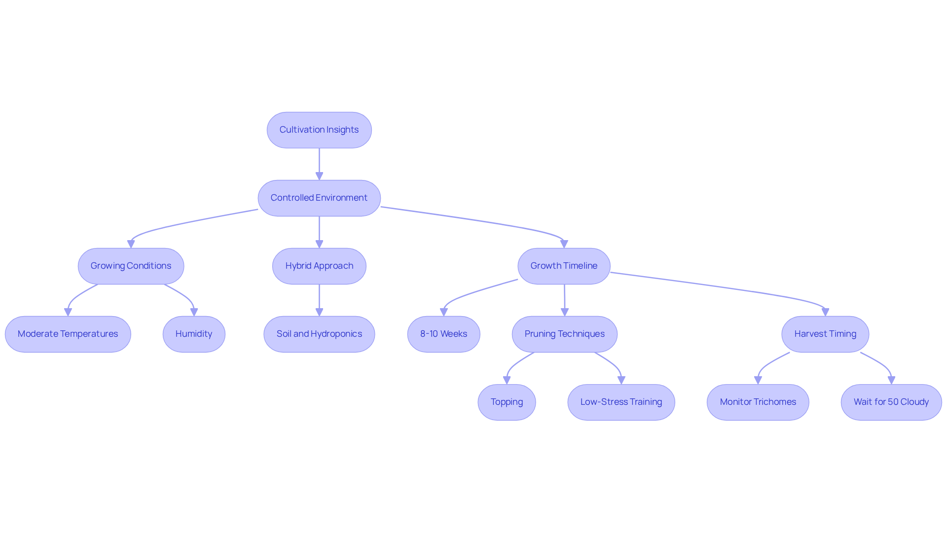 Each box represents a step in the cultivation process — follow the arrows to understand how to nurture the Vanilla Frosting strain successfully.