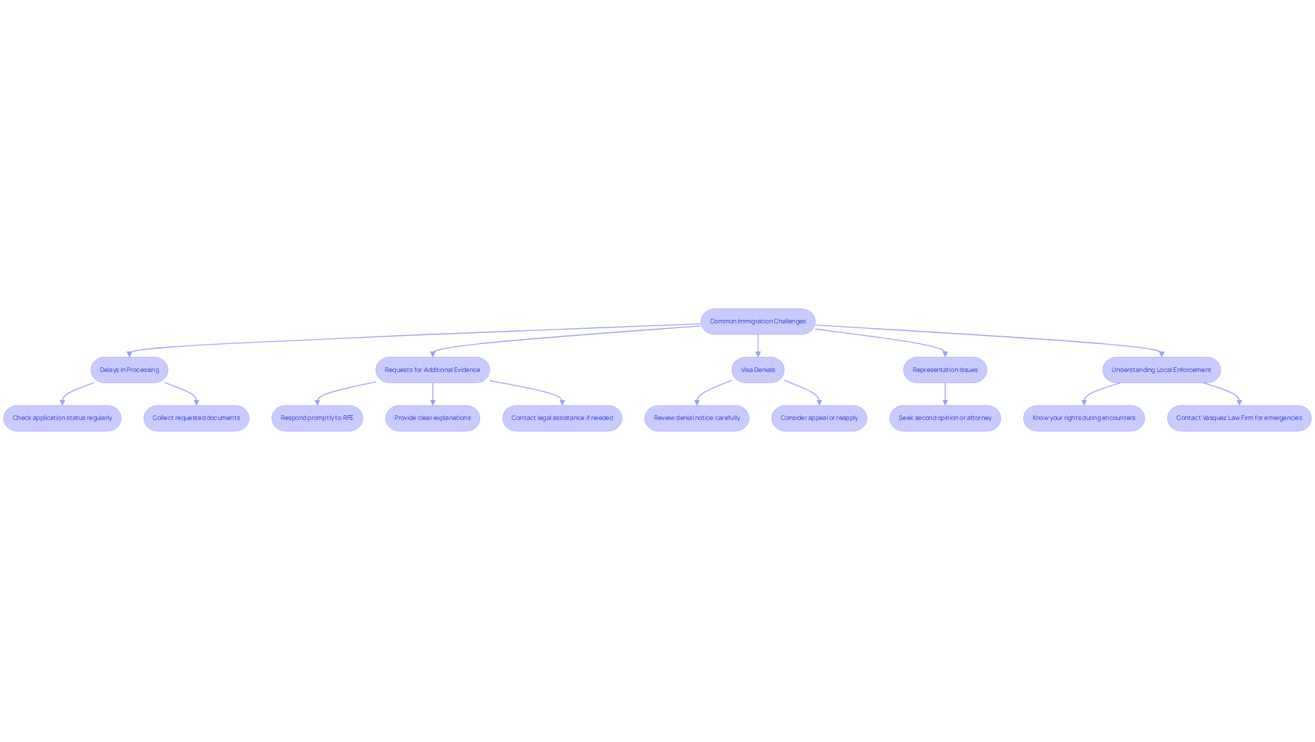 This flowchart illustrates the common challenges faced during the immigration process and the strategies to address them. Follow the arrows to see how to respond to each challenge effectively.