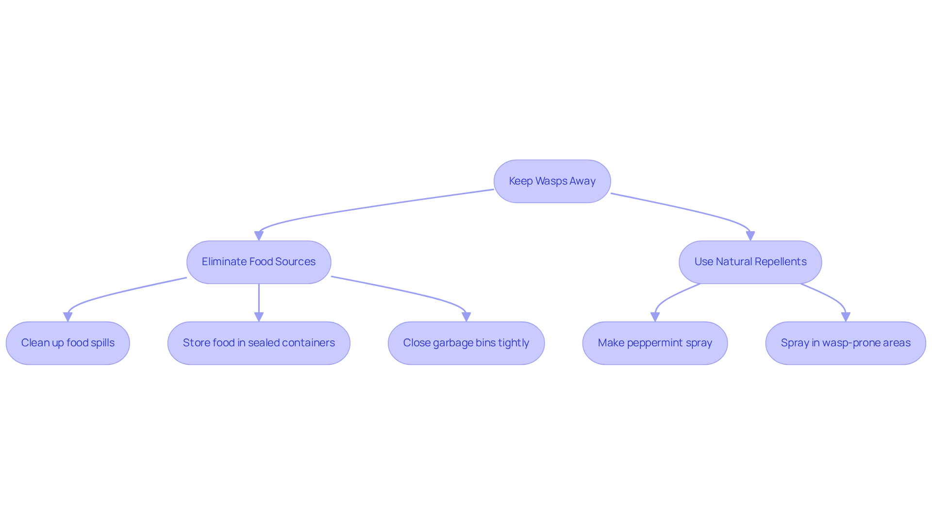 Follow the arrows to see the steps you can take to keep wasps away. Each box represents an action you can take, starting from cleaning up food sources to using natural repellents. Follow the arrows to see the steps you can take to keep wasps away. Each box represents an action you can take, starting from cleaning up food sources to using natural repellents.