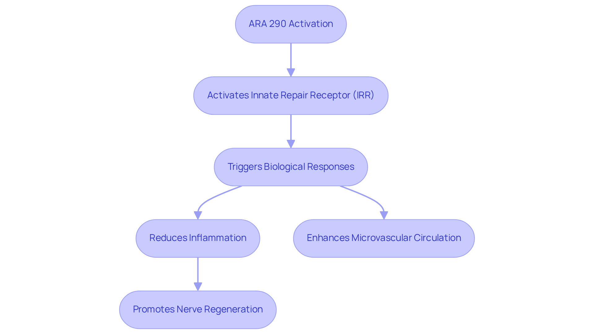 This flowchart shows how ARA 290 works in the body. Start at the top with ARA 290 activation, then follow the arrows to see how it activates receptors, reduces inflammation, promotes healing, and improves circulation. Each step is crucial for understanding how this treatment can help with neuropathic discomfort.