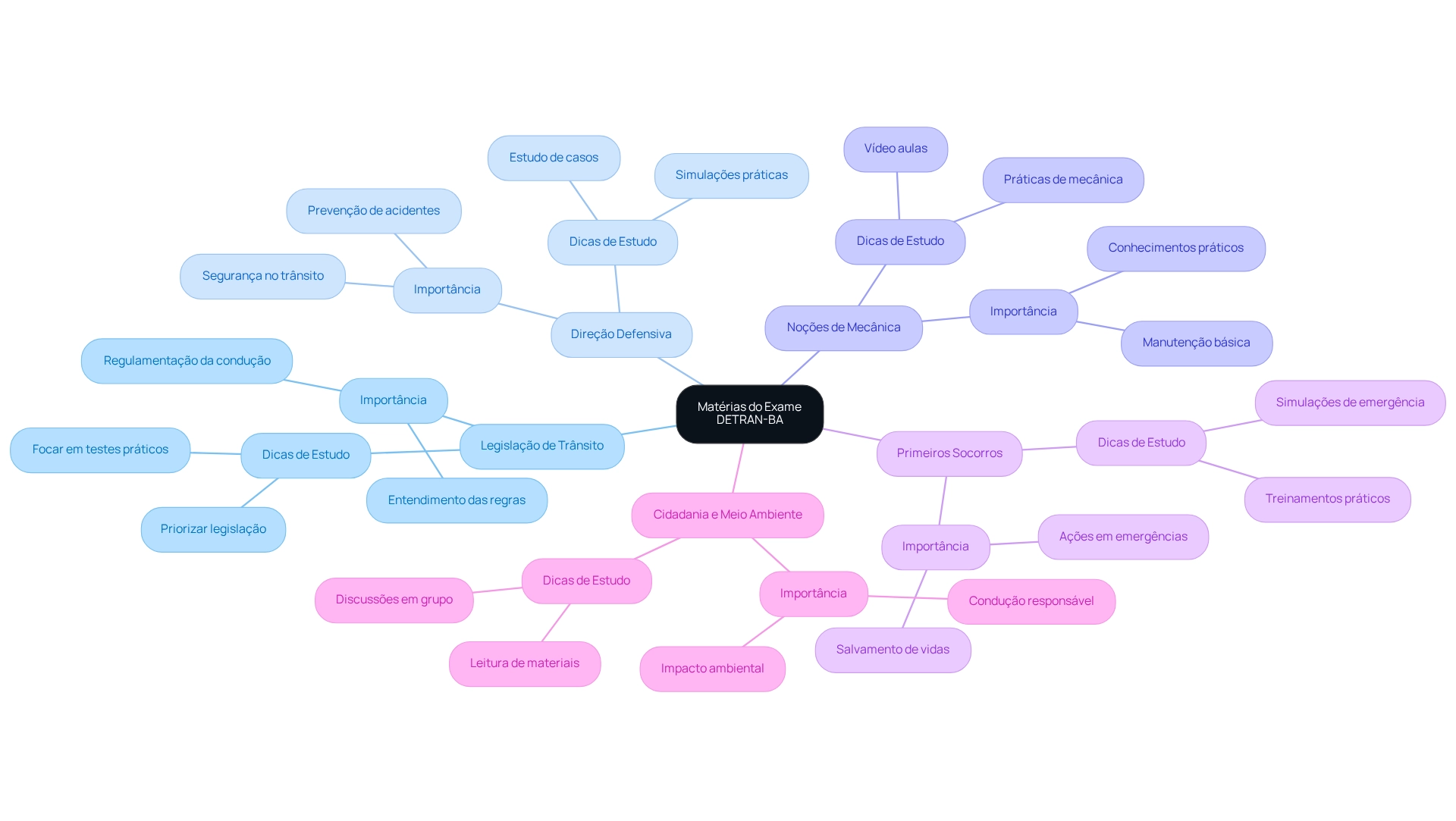Cada ramo representa uma matéria abordada no exame, com cores diferentes para facilitar a identificação e a memorização.