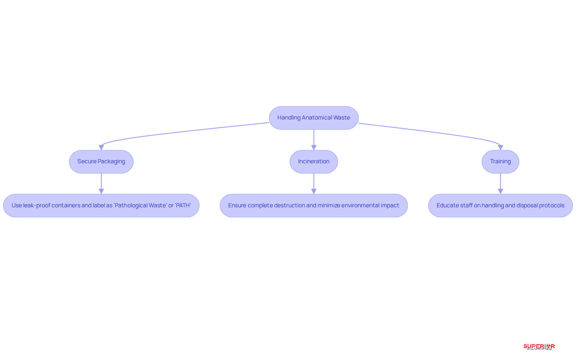 Follow the arrows to see the steps for managing anatomical waste. Each box represents a key practice: secure packaging, incineration, and training. This flowchart helps visualize how to safely handle and dispose of anatomical materials.