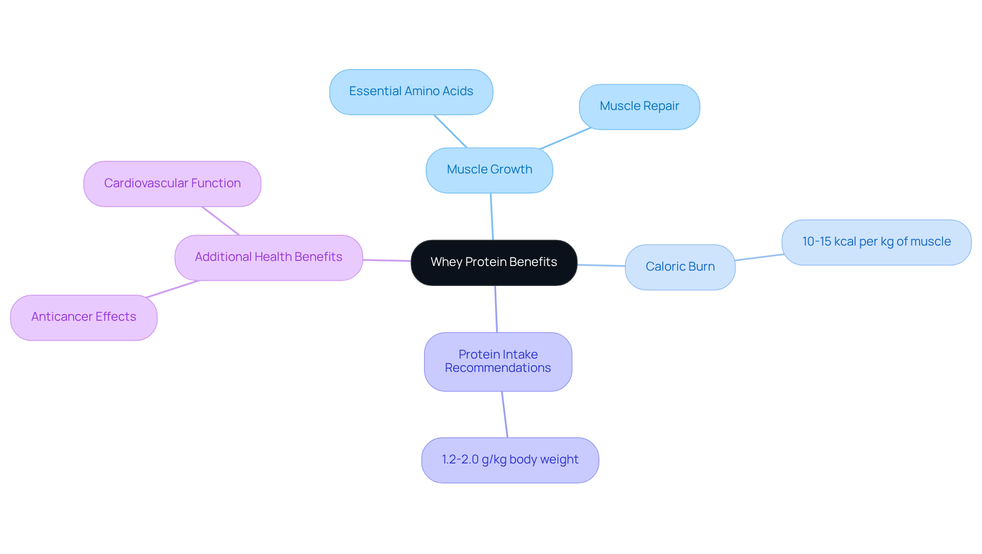 This mindmap shows how whey protein supports muscle growth and metabolism. Start at the center with the main topic, then follow the branches to explore how it helps with muscle repair, caloric burn, recommended intake, and other health benefits. This mindmap shows how whey protein supports muscle growth and metabolism. Start at the center with the main topic, then follow the branches to explore how it helps with muscle repair, caloric burn, recommended intake, and other health benefits.