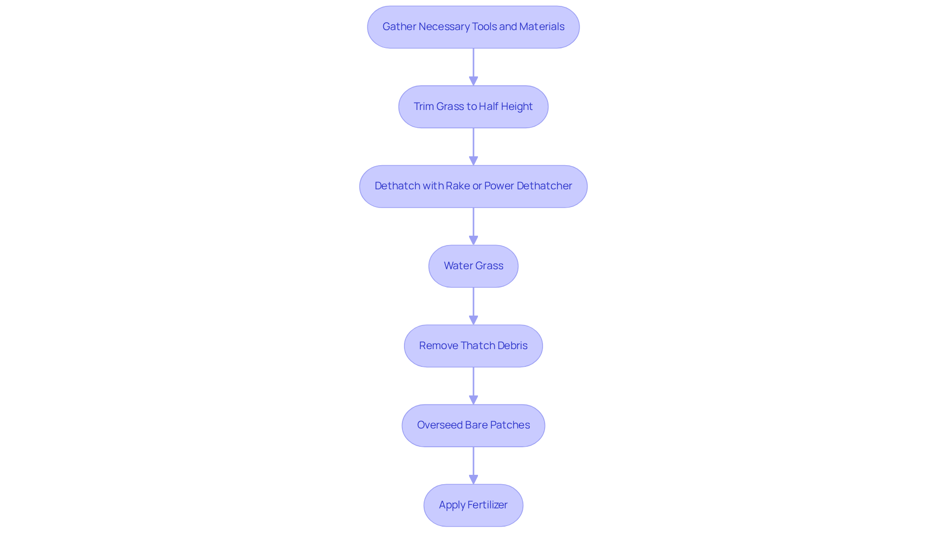 Each box represents a step in the thatching process. Follow the arrows to see what to do next, starting from gathering your tools to applying fertilizer for a healthy lawn.