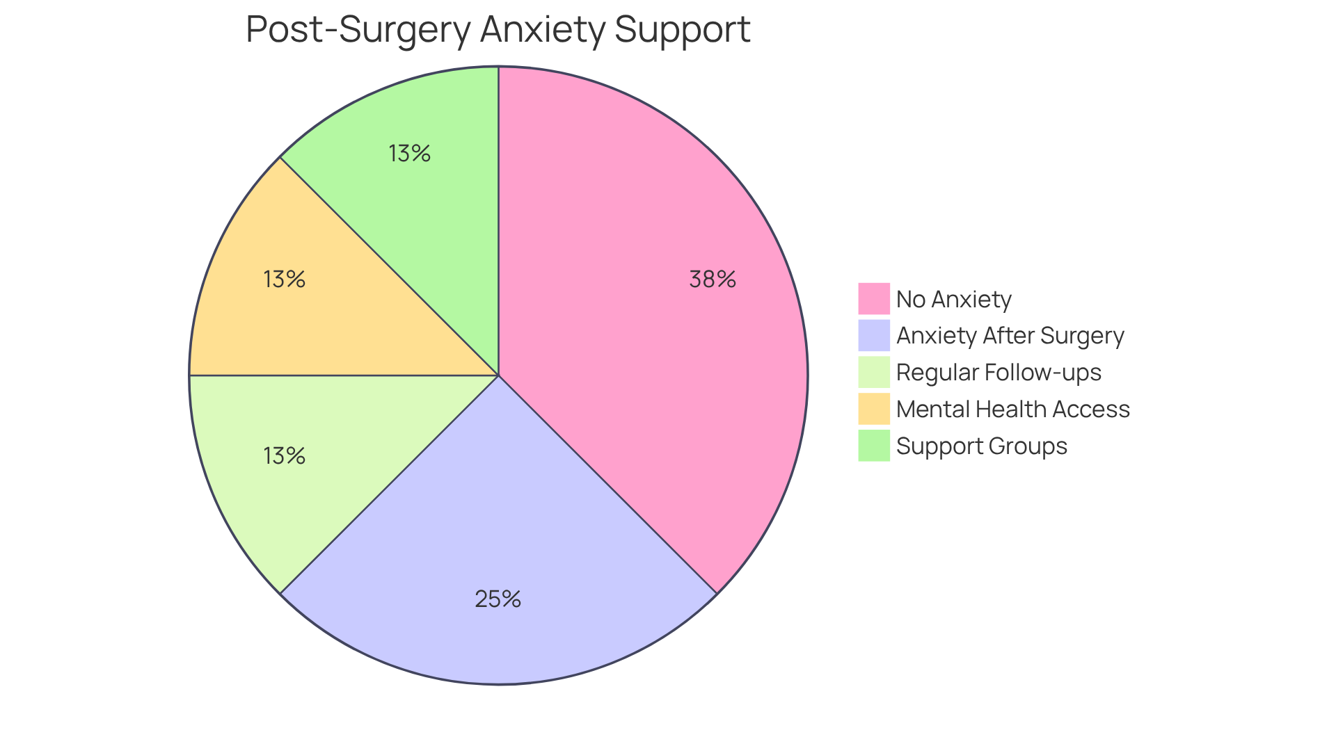 The larger slice shows the percentage of patients experiencing anxiety, while the smaller slices represent the types of support available to help patients recover emotionally. Each part highlights how emotional health is addressed in the recovery process.