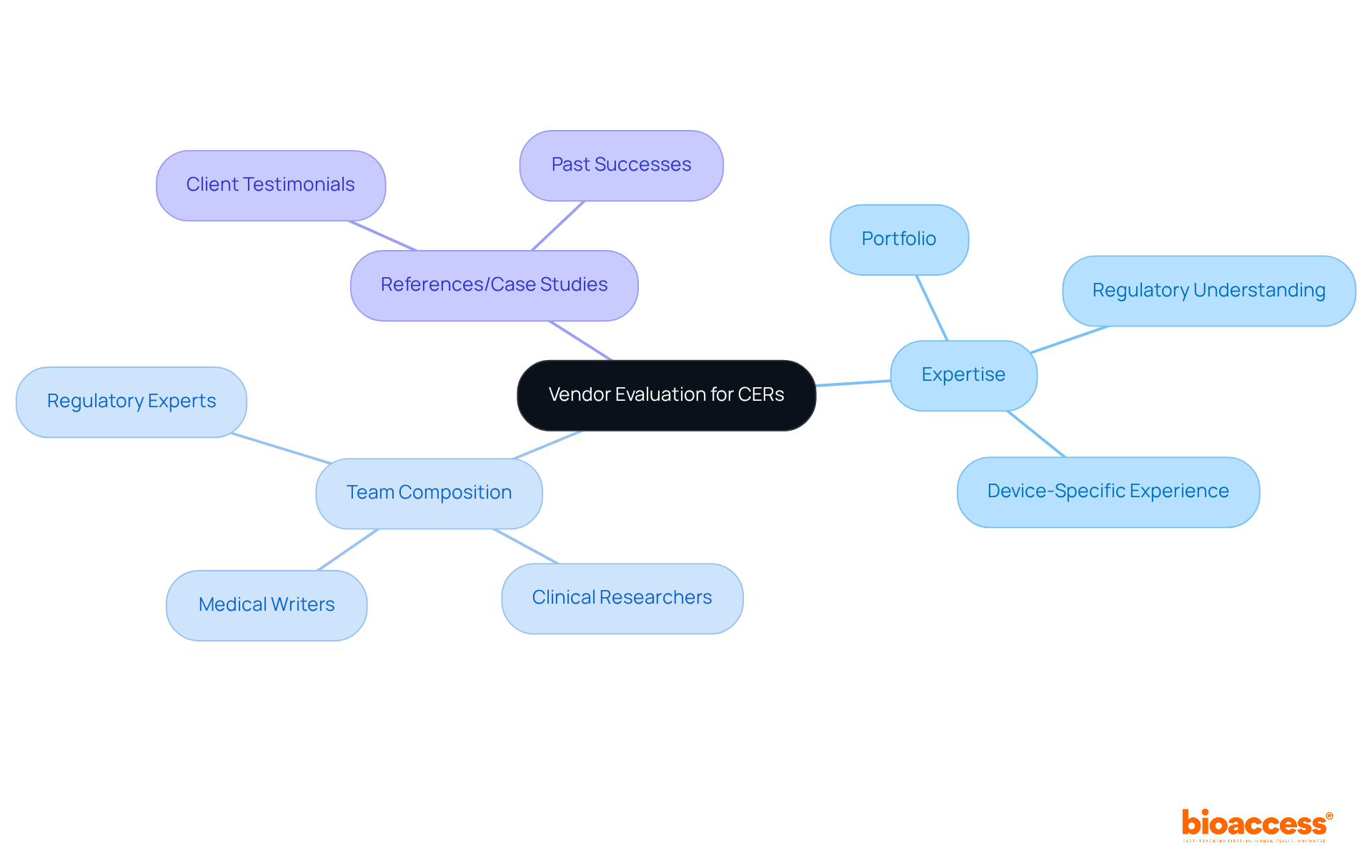 Start at the center with the main evaluation theme, then explore each branch to see the specific criteria that help assess vendor capabilities.
