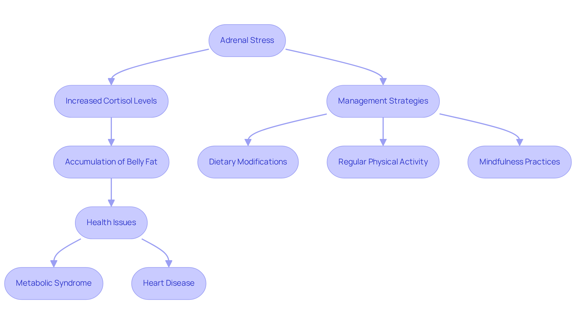 Understand Adrenal Stress Belly Fat and How to Manage It