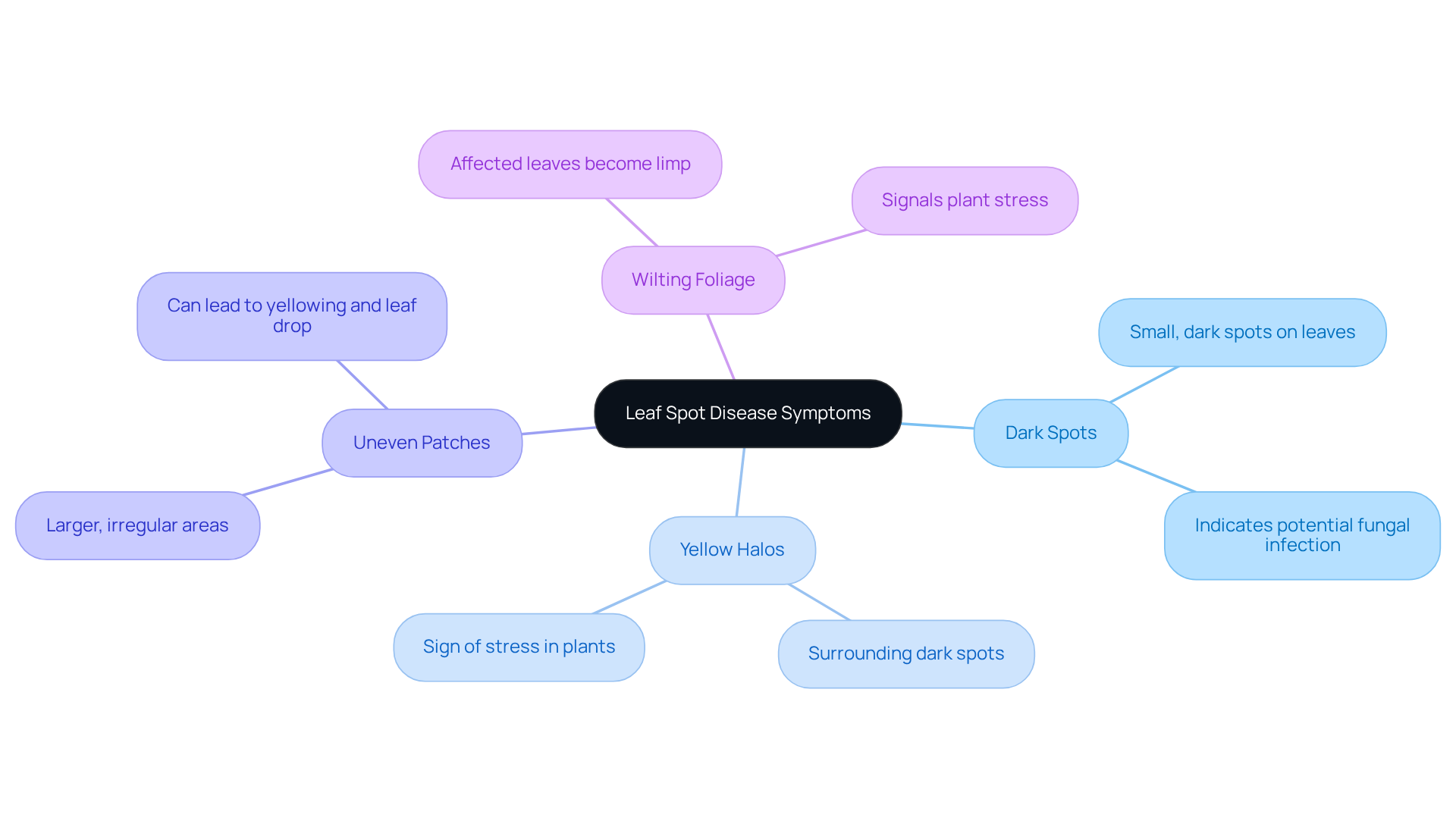 The center shows the main issue, leaf spot disease, and the branches represent different symptoms. Each symptom has further details to help you understand what to look for in your plants.