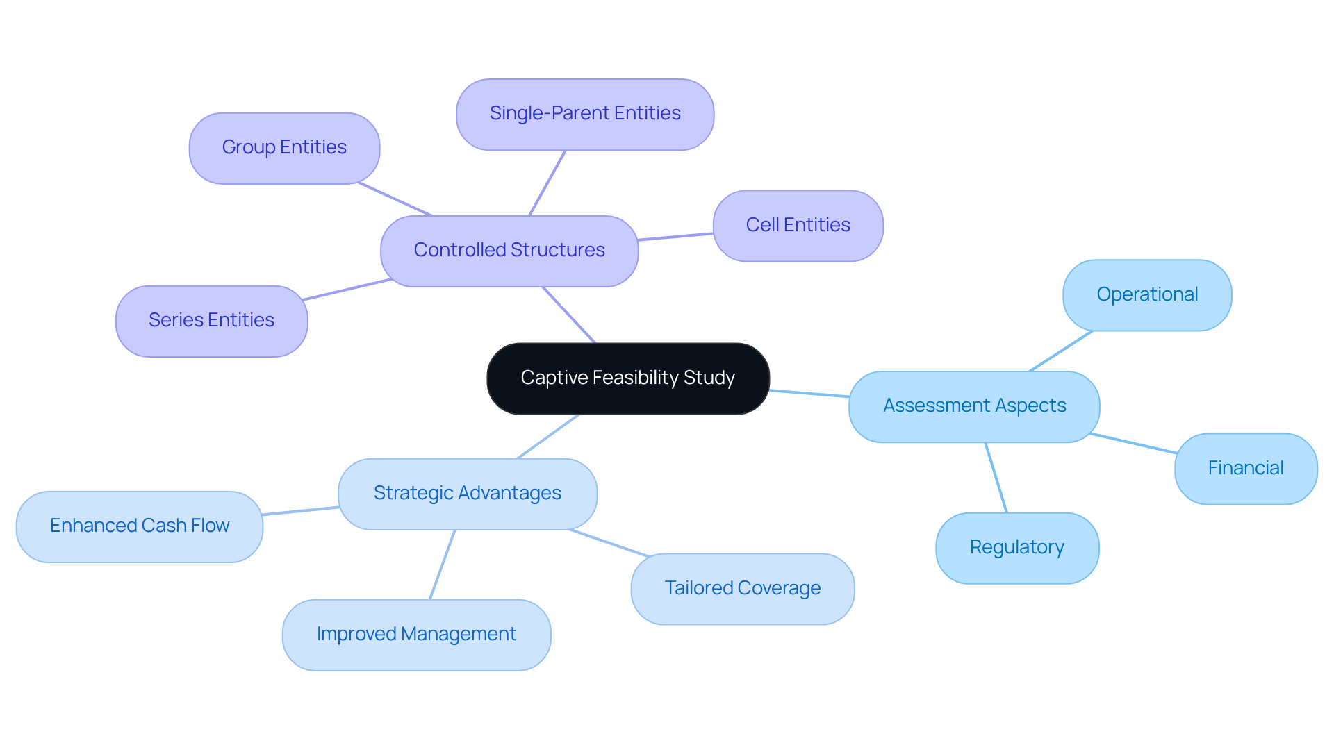 The central node represents the feasibility study, with branches showing different aspects and types of entities. Each color-coded branch helps you understand how these elements connect and contribute to the overall strategy.