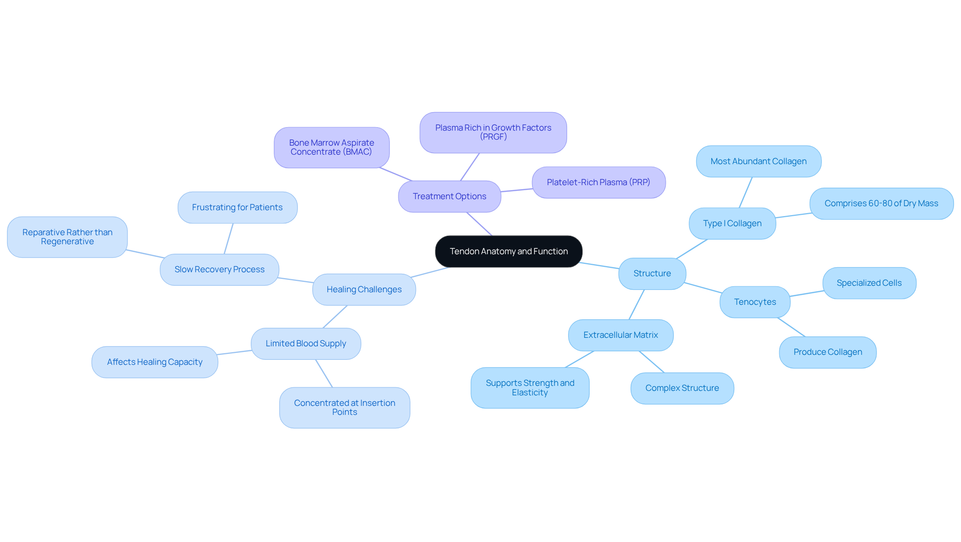 This mindmap starts with the main topic of tendon anatomy and function at the center. Each branch represents a key area of discussion, helping you explore how tendons are structured, the challenges they face when injured, and the innovative treatments available to aid recovery. This mindmap starts with the main topic of tendon anatomy and function at the center. Each branch represents a key area of discussion, helping you explore how tendons are structured, the challenges they face when injured, and the innovative treatments available to aid recovery.