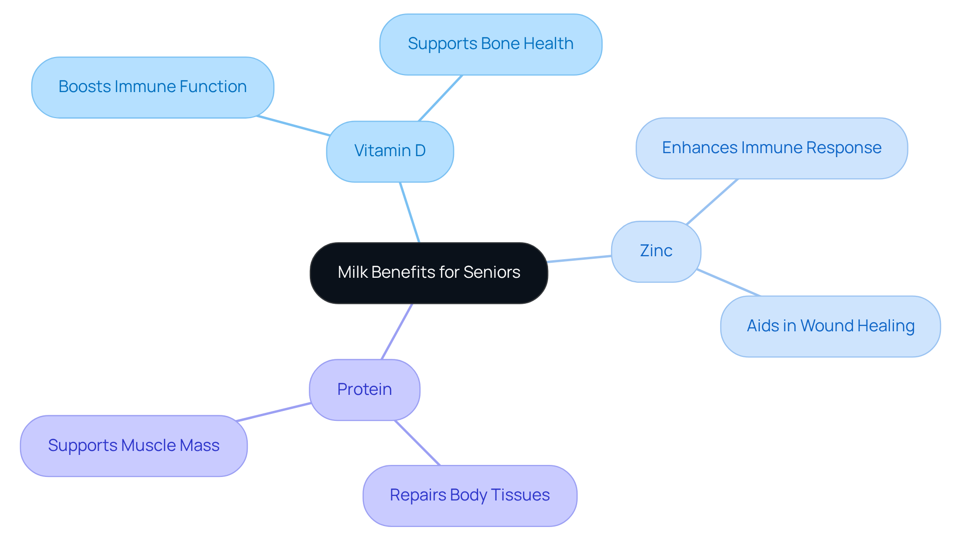 At the center is the main topic of how milk helps seniors, with branches leading to important nutrients. Each nutrient explains its specific contribution to immune health.