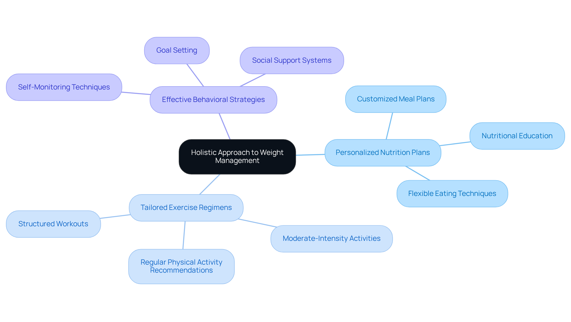 Start at the center with the holistic approach, then explore each branch to see the specific strategies that support your weight loss journey. Each color represents a different aspect of the plan, helping you visualize how they work together.