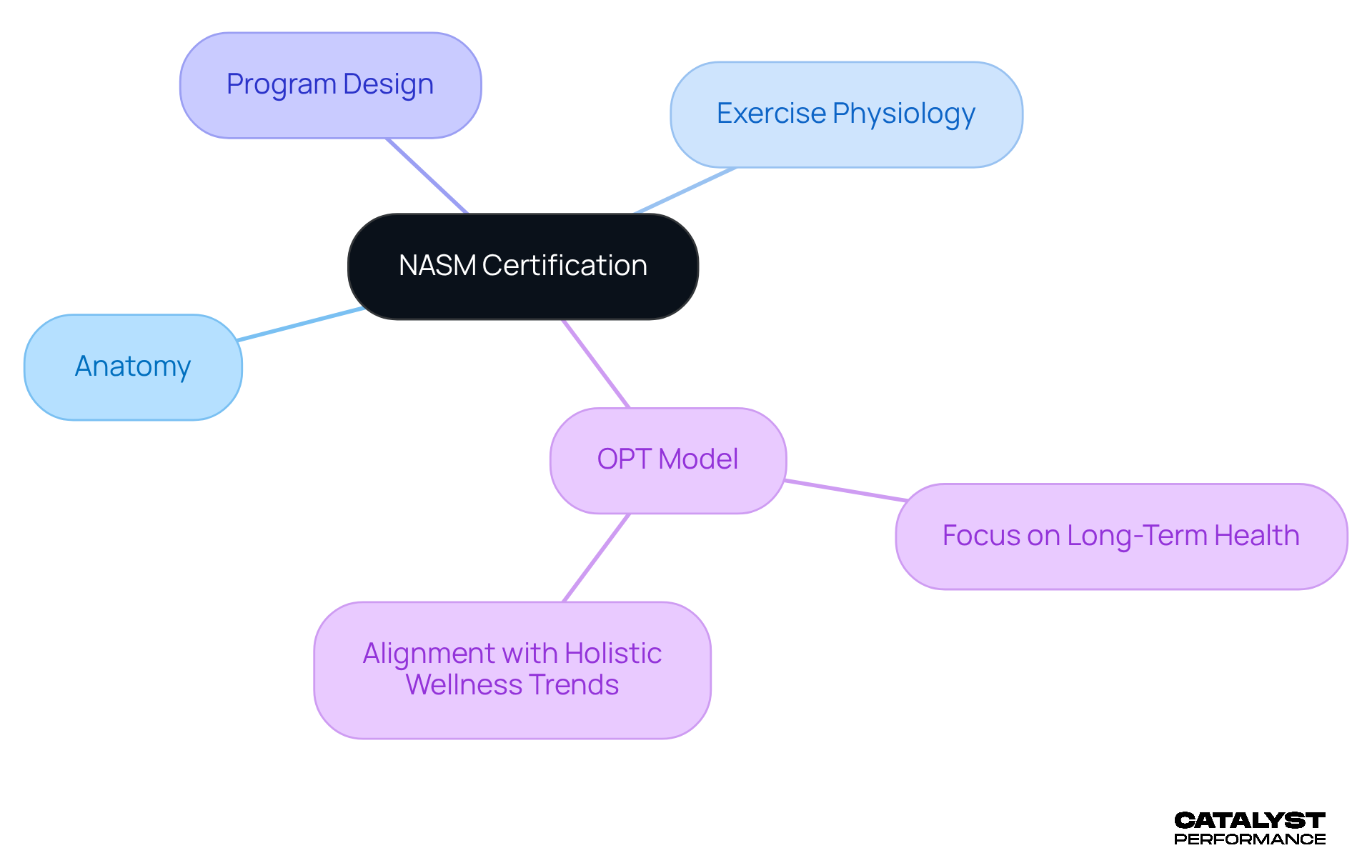 The center represents the NASM certification, with branches showing essential topics and the OPT model's role in promoting holistic wellness. Each branch connects to specific areas of knowledge that trainers gain, illustrating how they work together to enhance client success.
