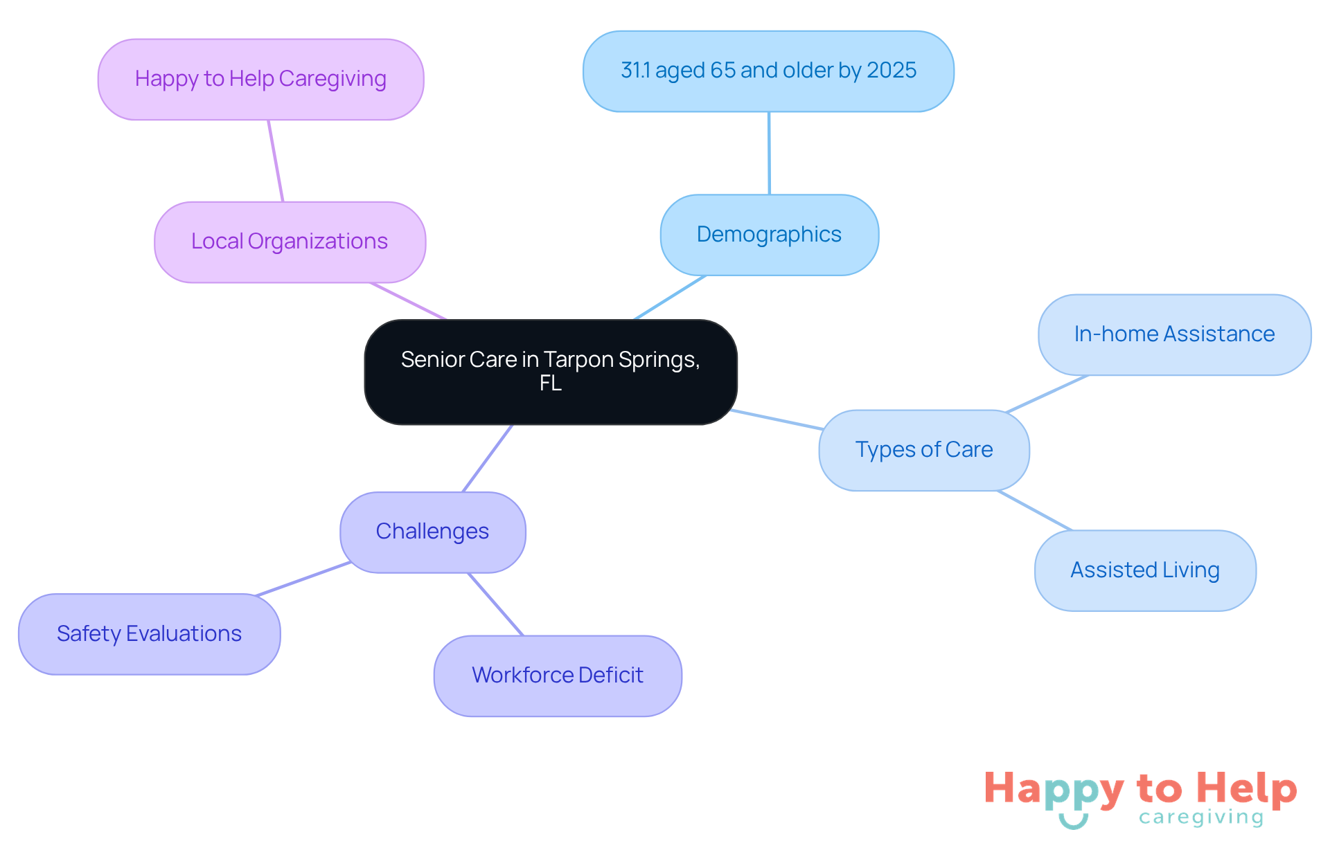 The central node represents the overall topic of senior care, while the branches show different aspects like demographics, types of care available, challenges faced, and local organizations that provide support.